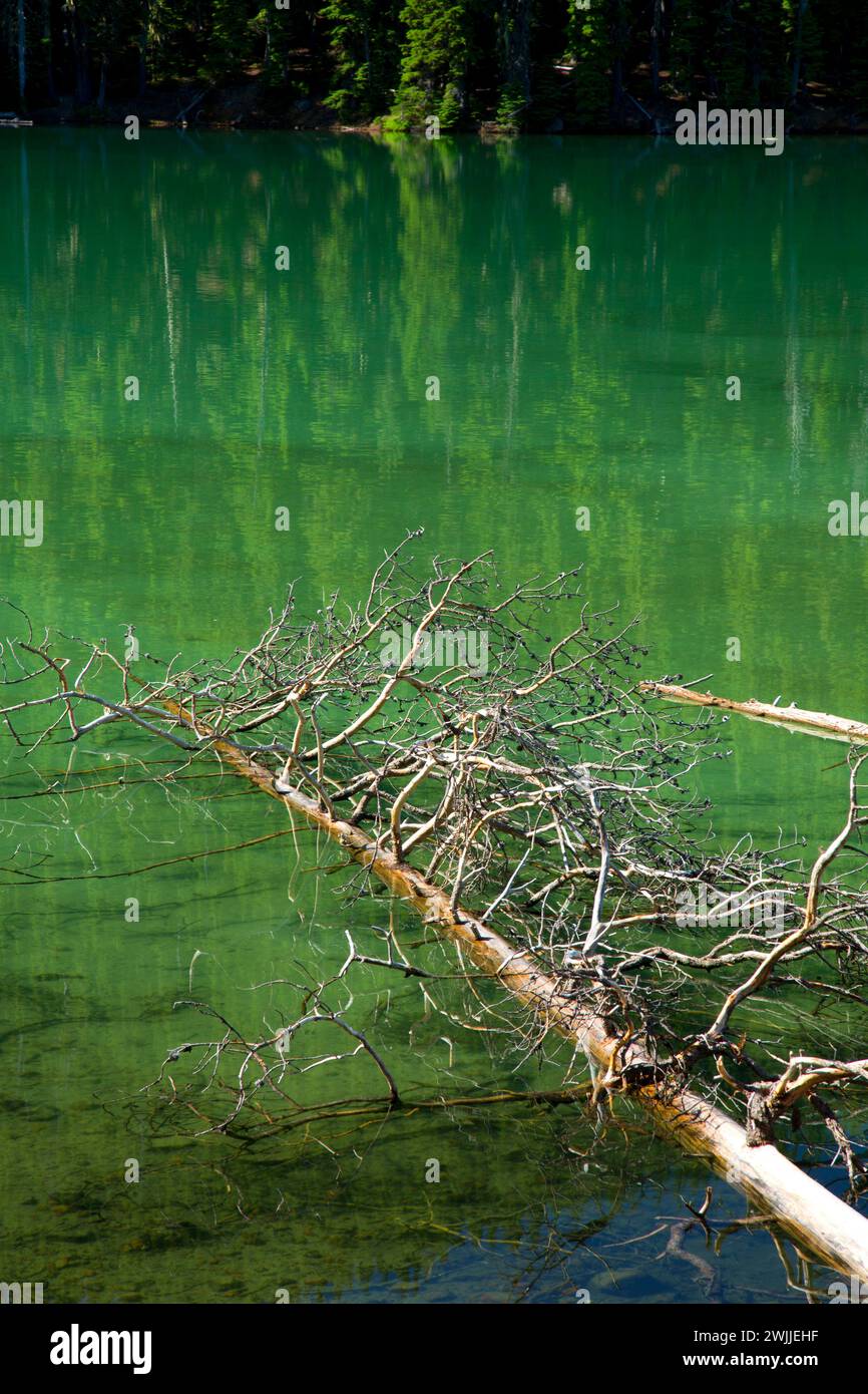Devils Lake, Cascade Lakes National Scenic Byway, Deschutes National ...