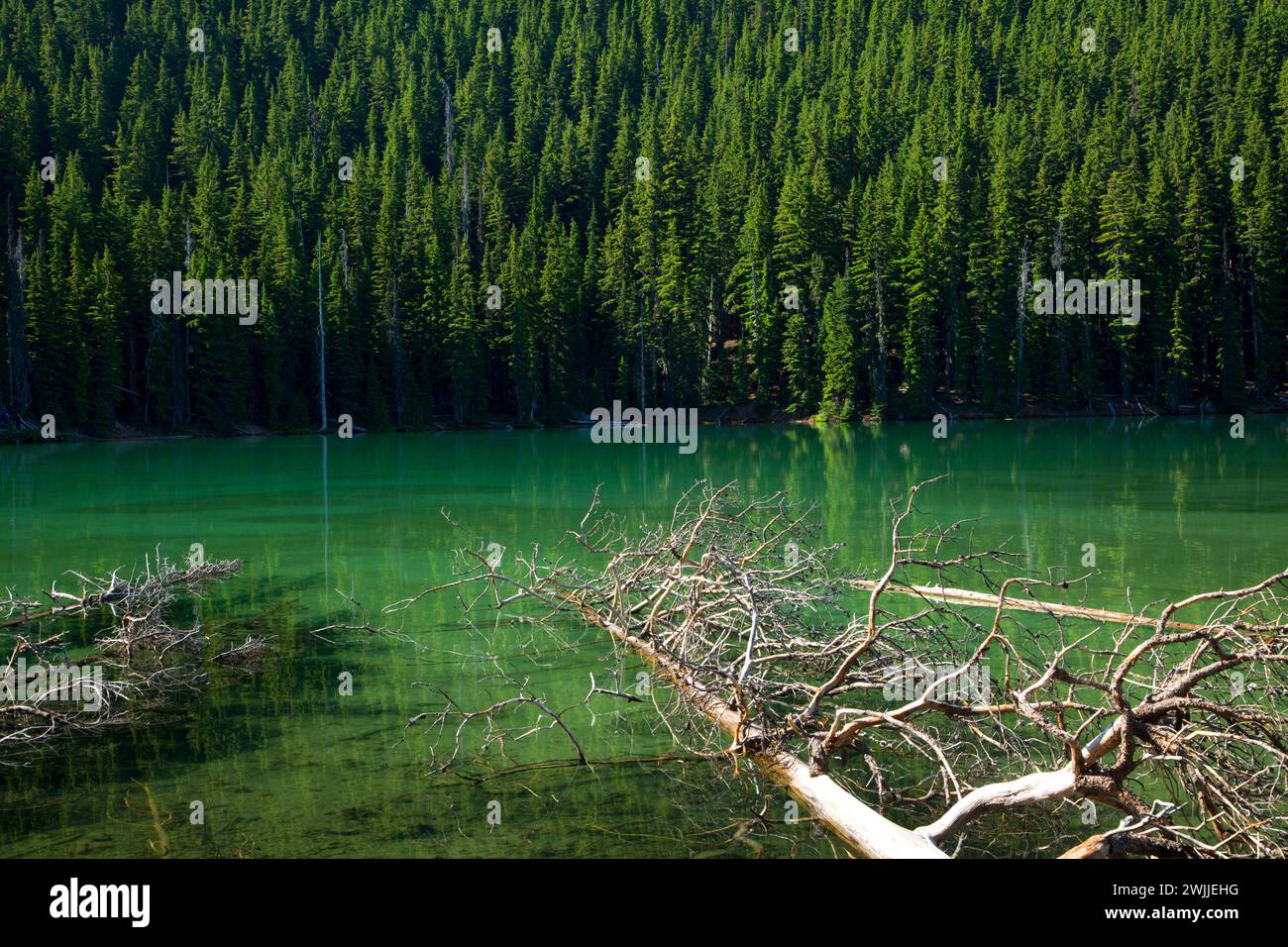 Devils Lake, Cascade Lakes National Scenic Byway, Deschutes National ...