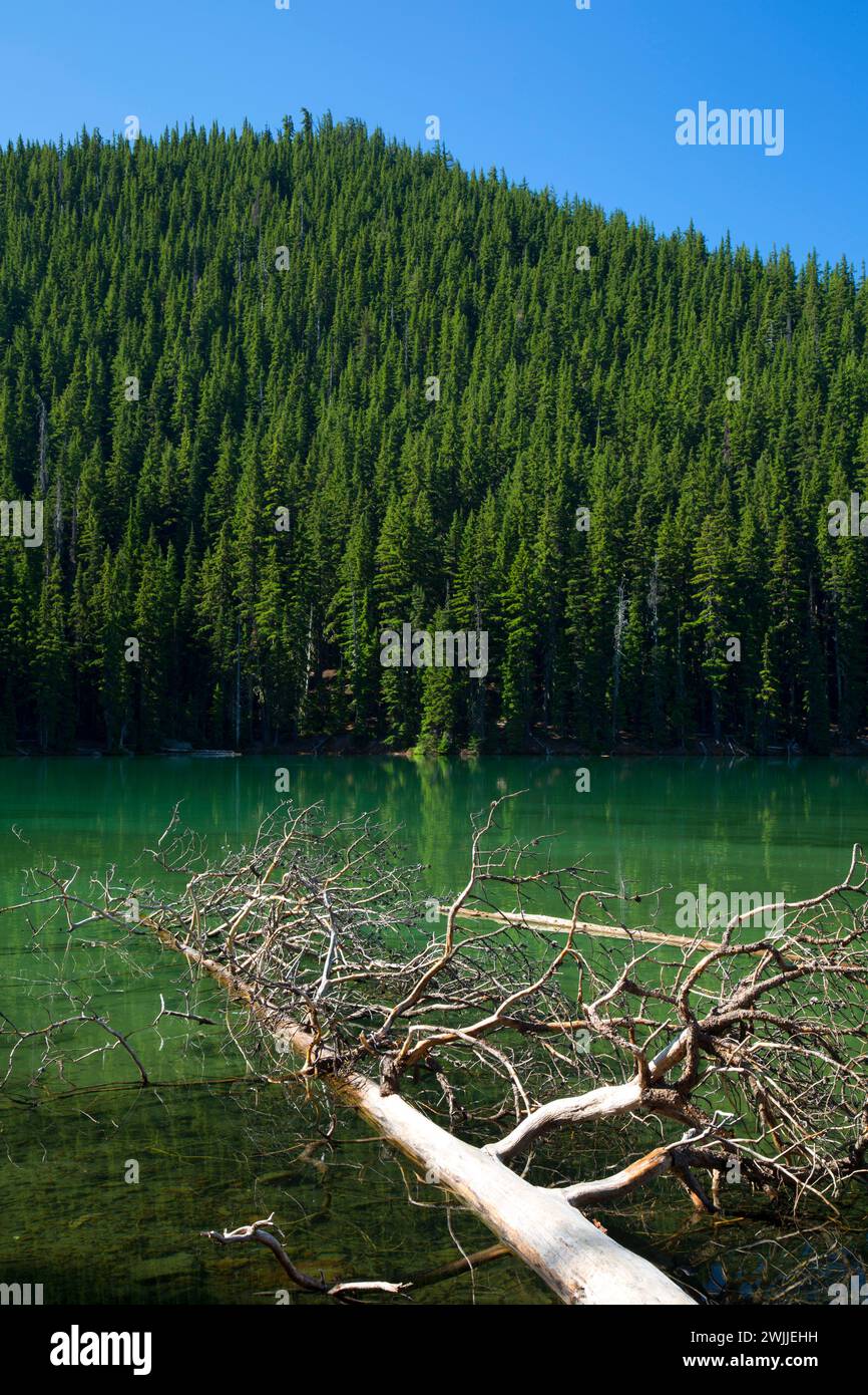 Devils Lake, Cascade Lakes National Scenic Byway, Deschutes National ...