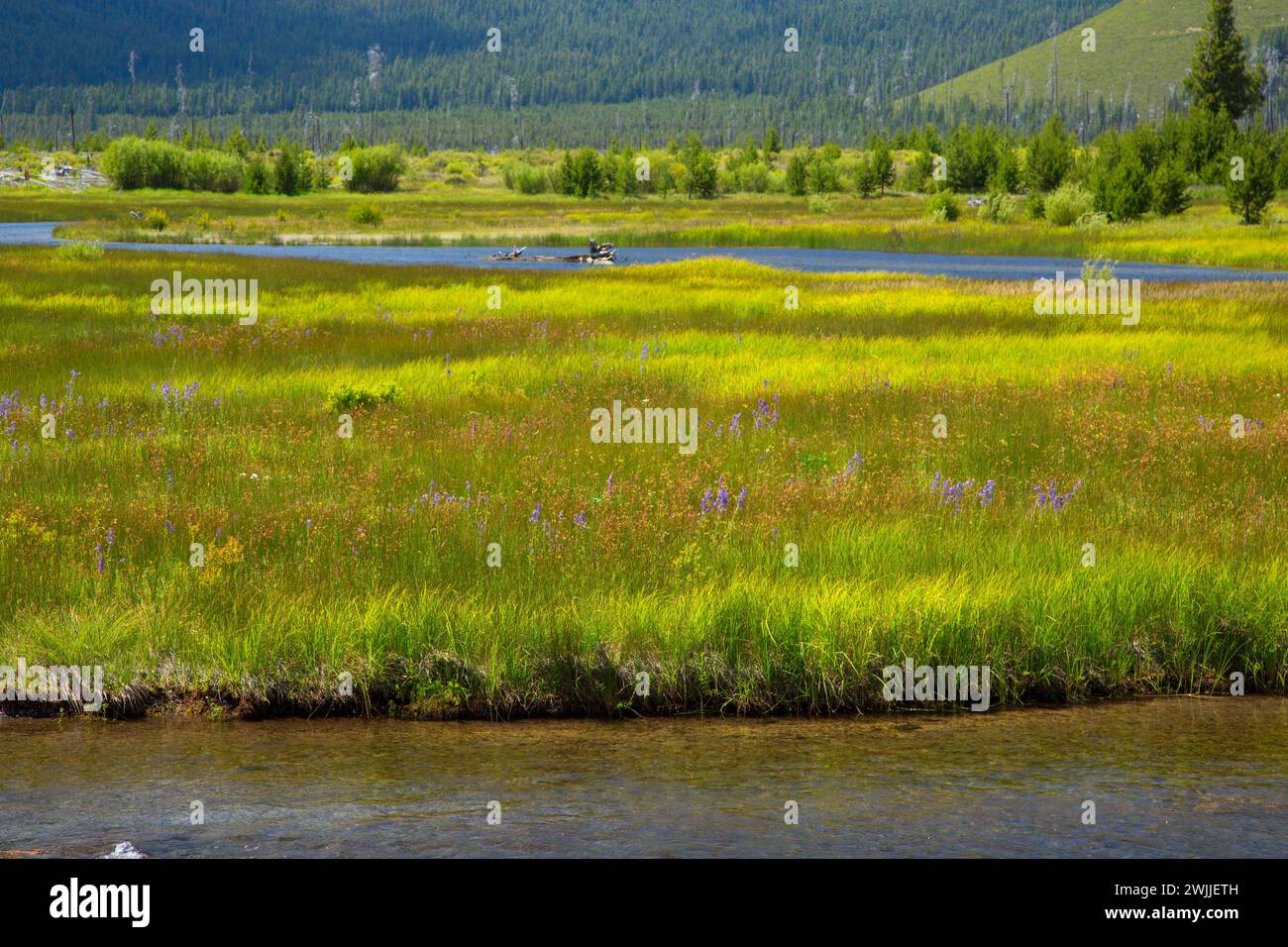 Odell Creek, Cascade Lakes National Scenic Byway, Deschutes National ...