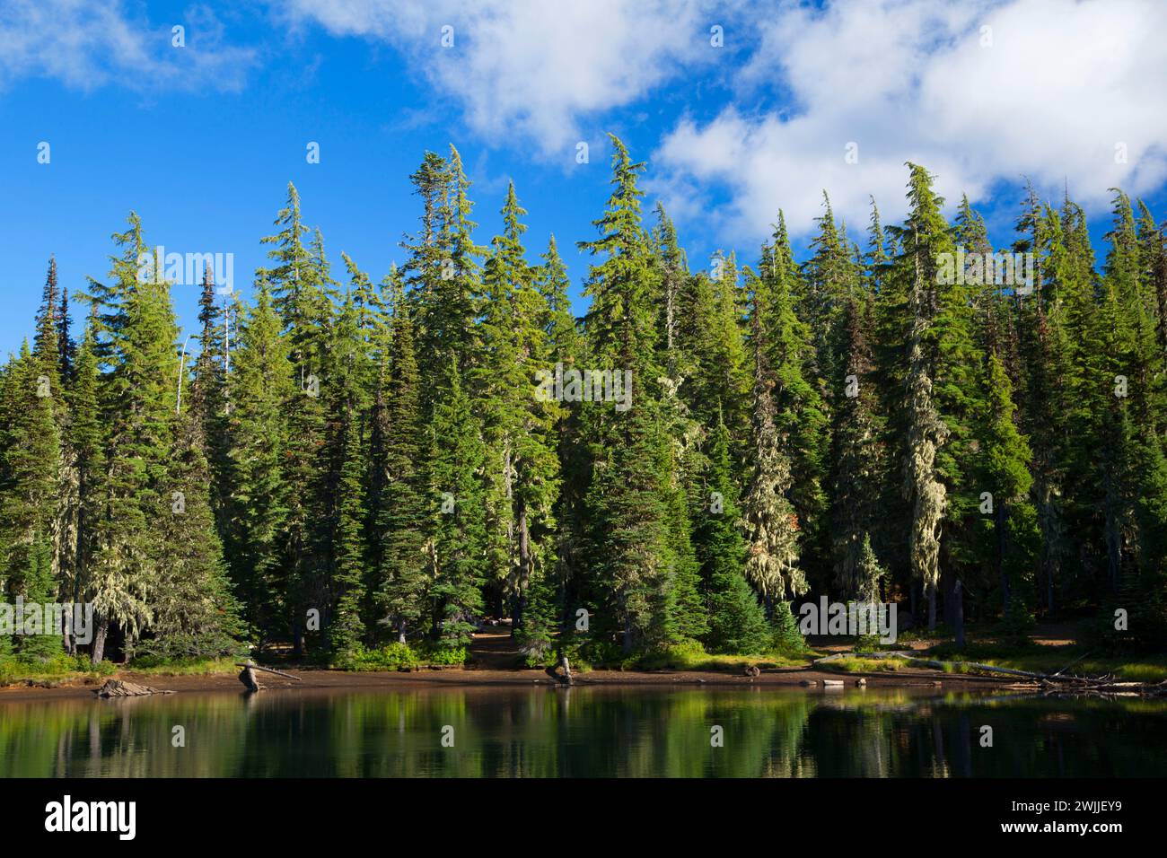 Lava Camp Lake, McKenzie Pass-Santiam Pass National Scenic Byway ...