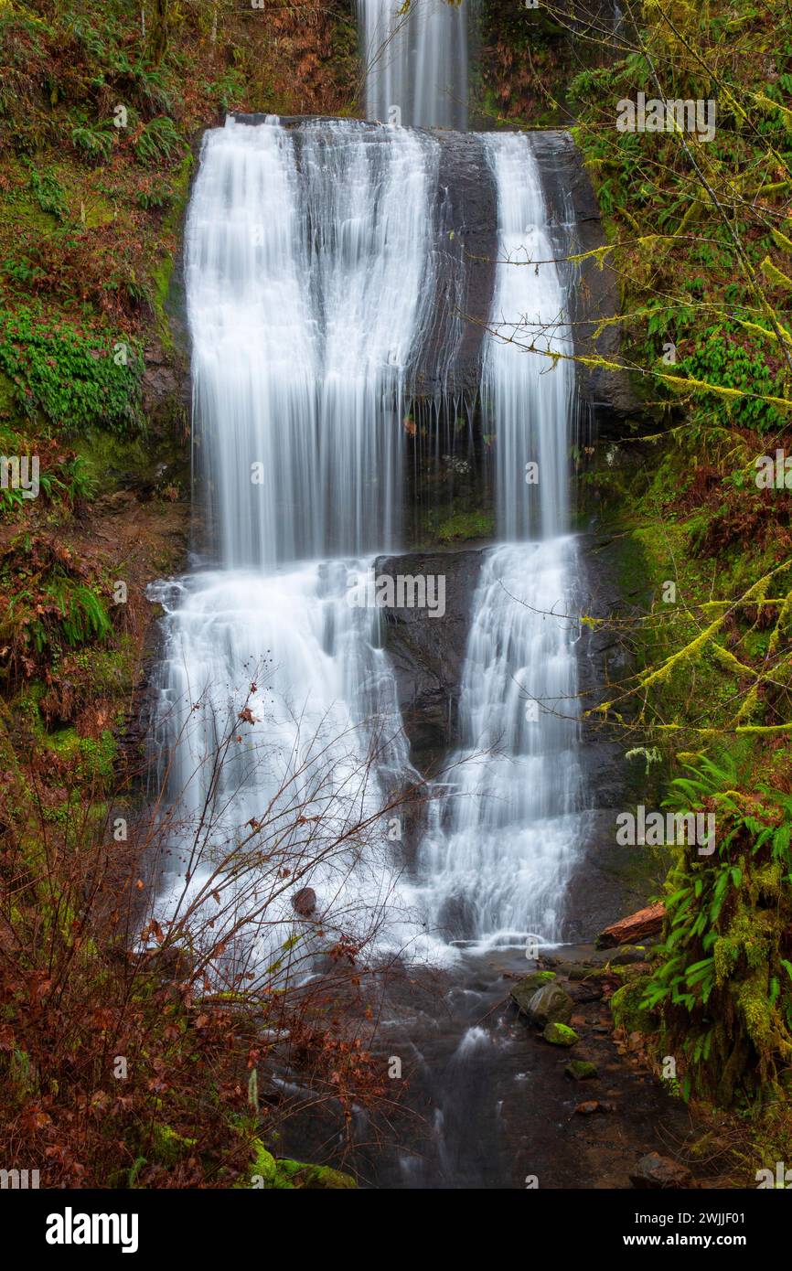 Royal Terrace Falls, McDowell Creek Falls County Park, Linn County ...