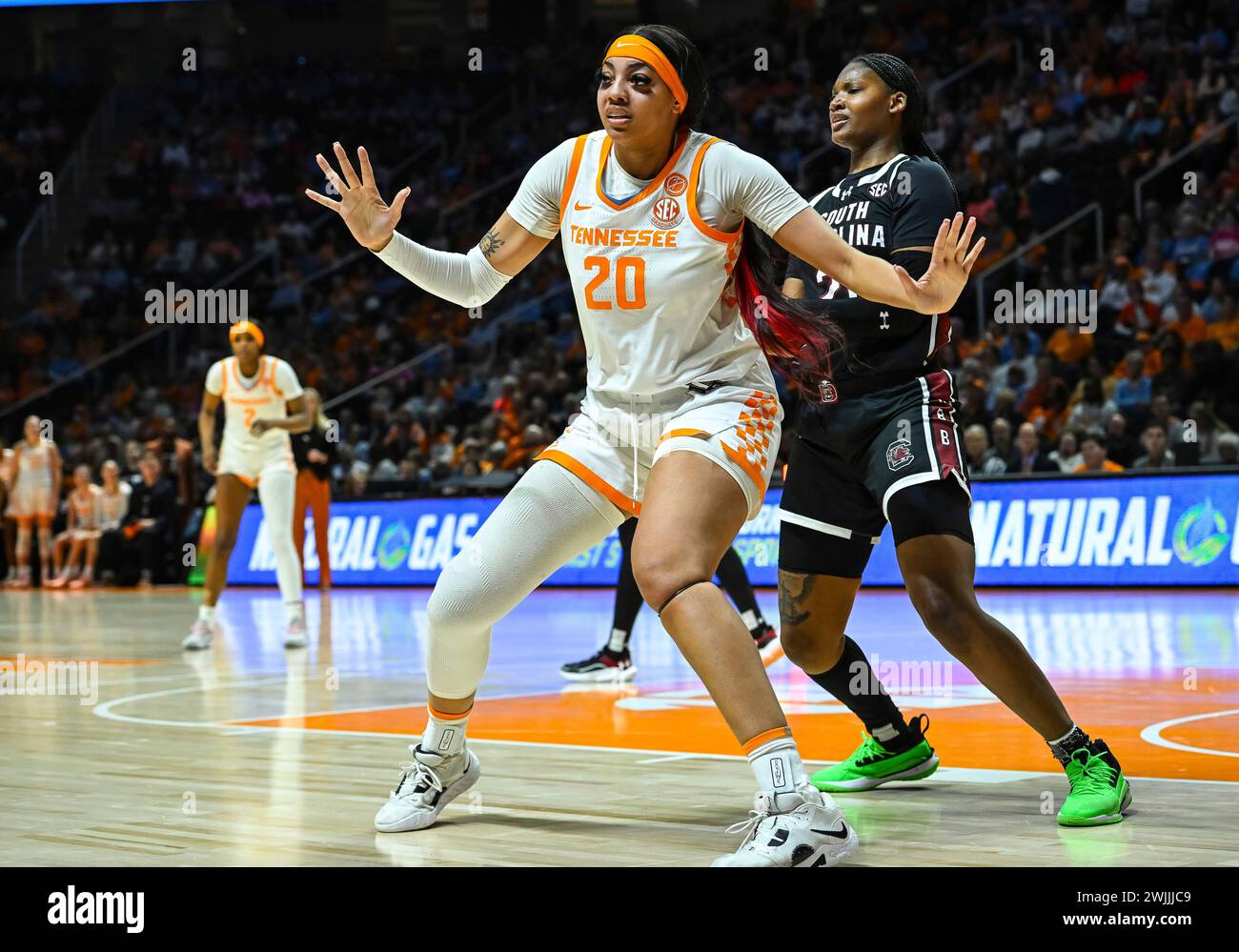 KNOXVILLE, TN - FEBRUARY 15: Tennessee Lady Vols center Tamari Key (20 ...