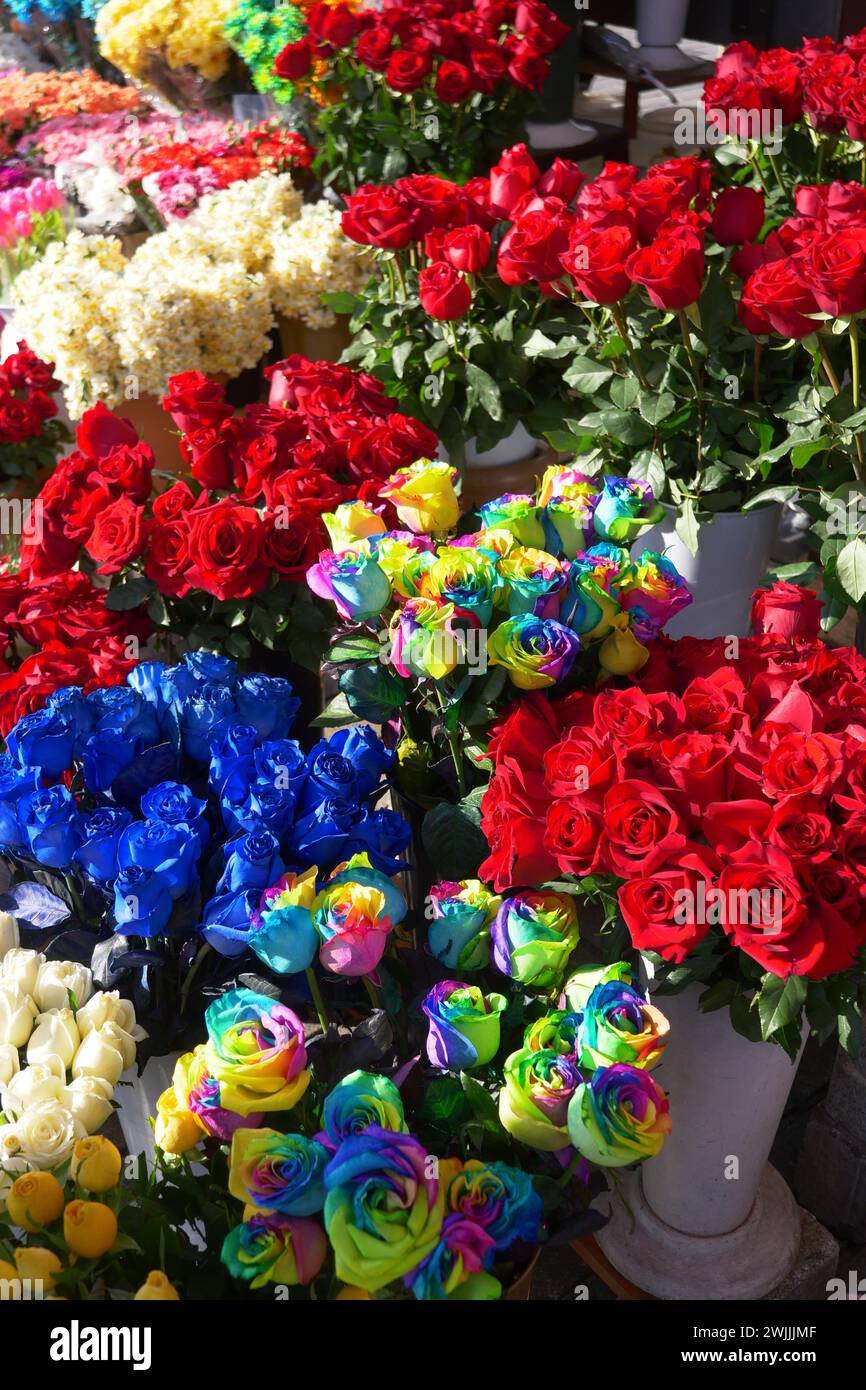 flower shop in istanbul, flower display for selling at street shop ...