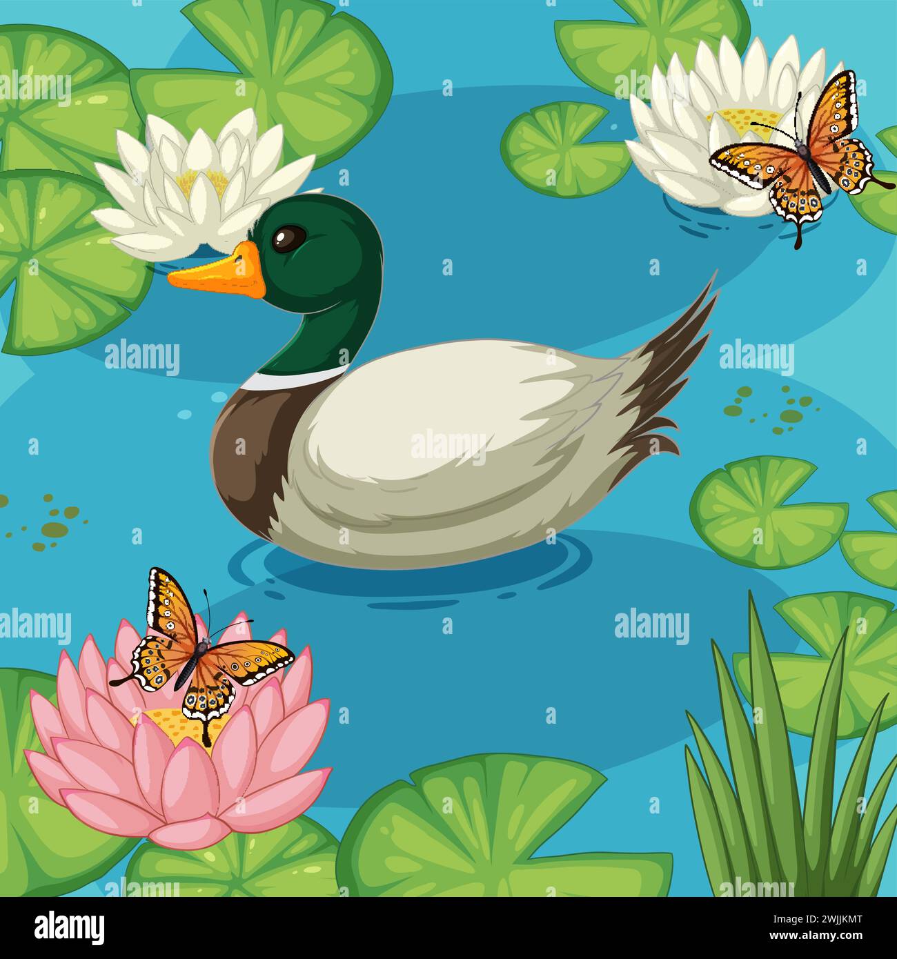 Vector illustration of duck with butterflies over water Stock Vector ...