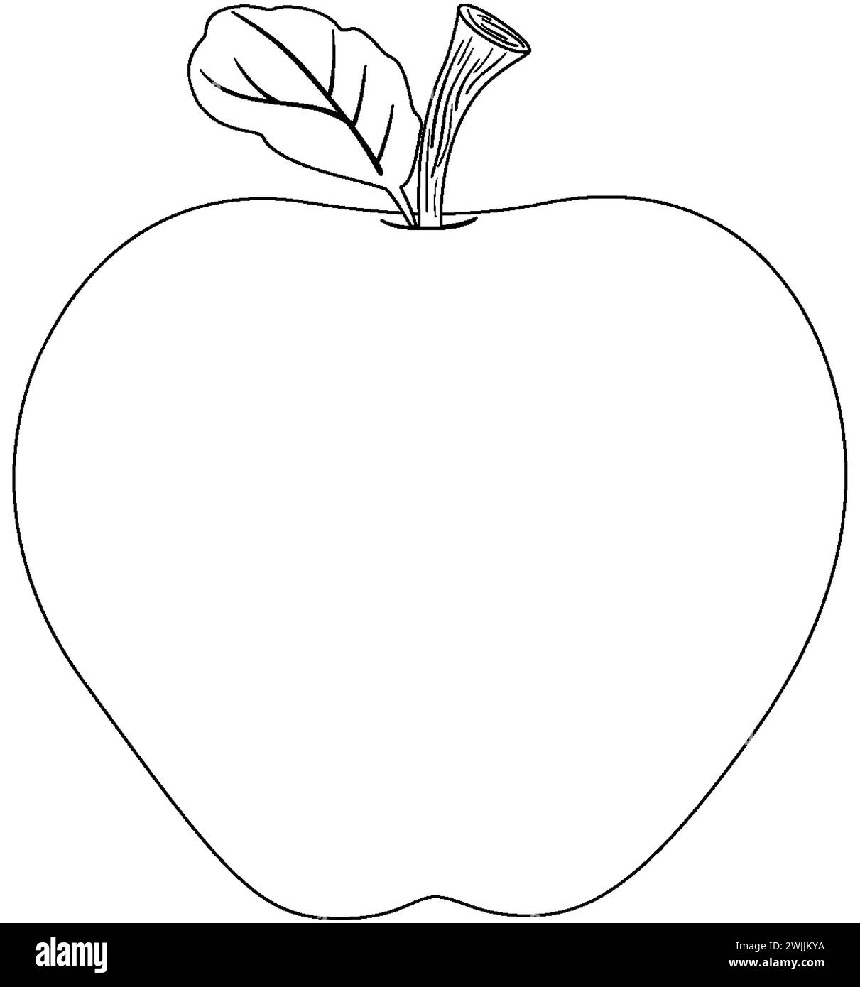 Black and white line drawing of an apple Stock Vector Image & Art - Alamy
