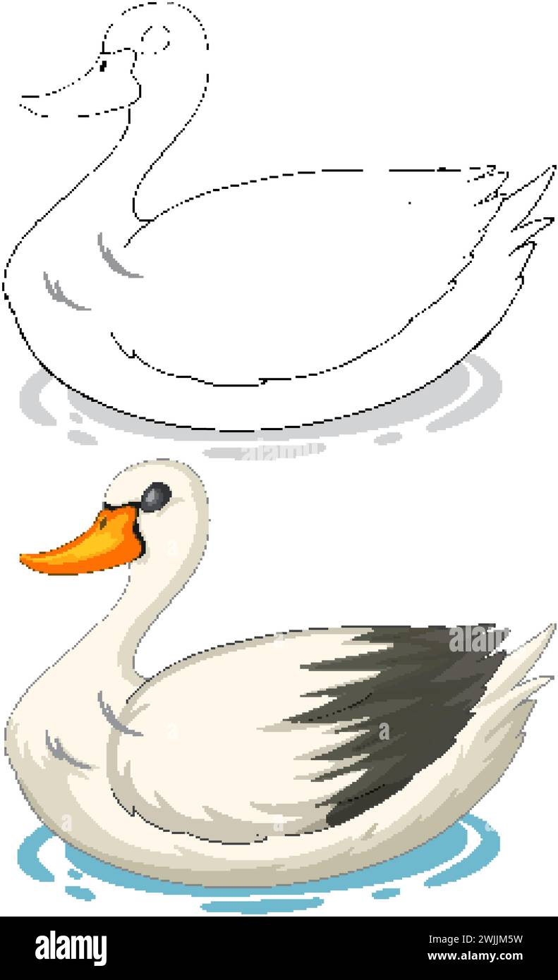 Vector illustration of a swan, sketched and colored Stock Vector Image ...