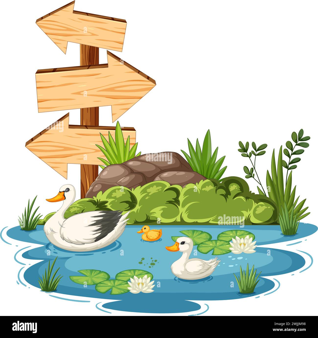 Vector illustration of ducks in a serene pond setting Stock Vector Image & Art - Alamy