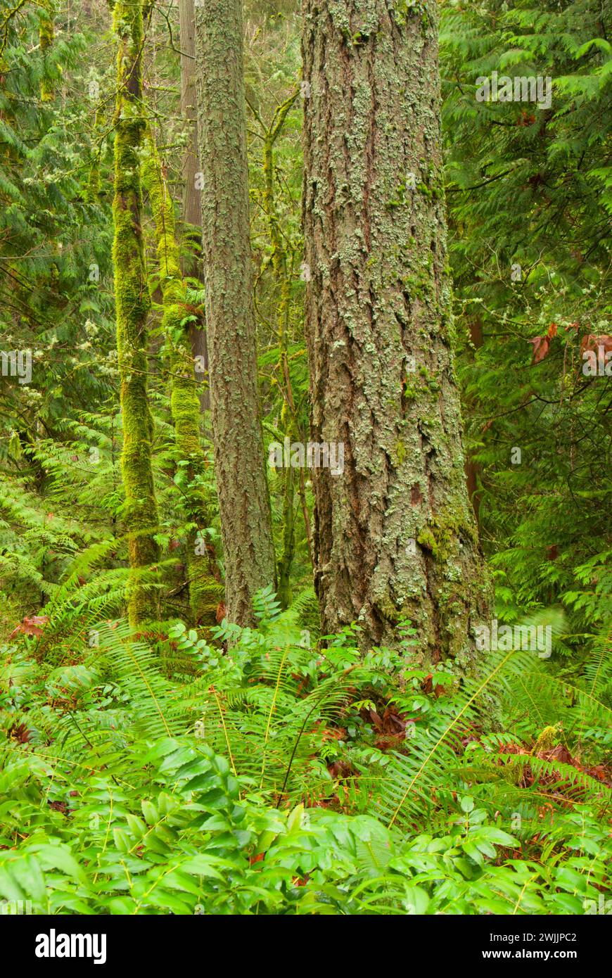 Sanctuary hills hi-res stock photography and images - Alamy