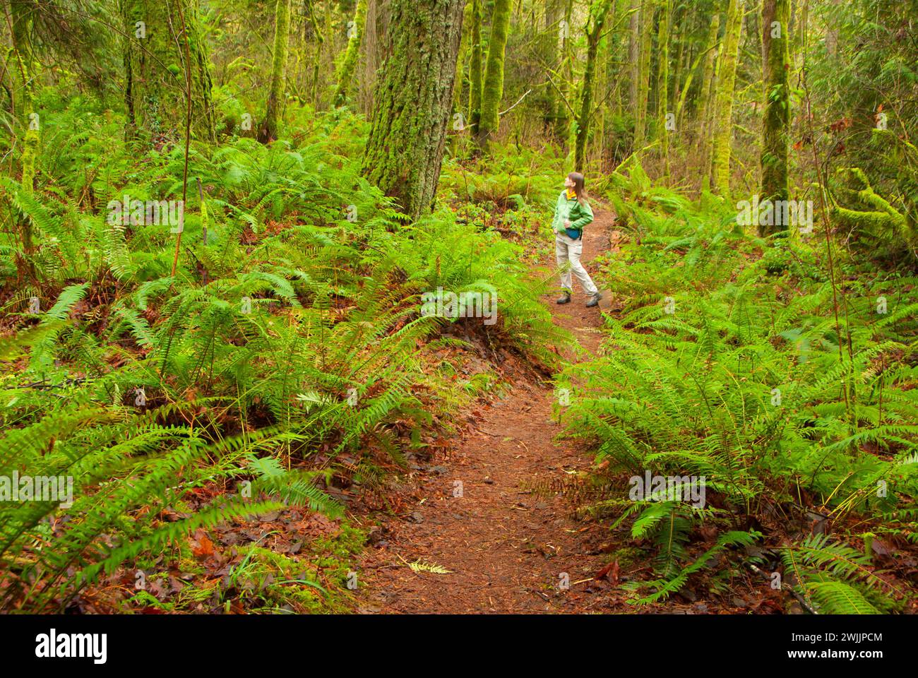 Woman at bird sanctuary hi-res stock photography and images - Alamy