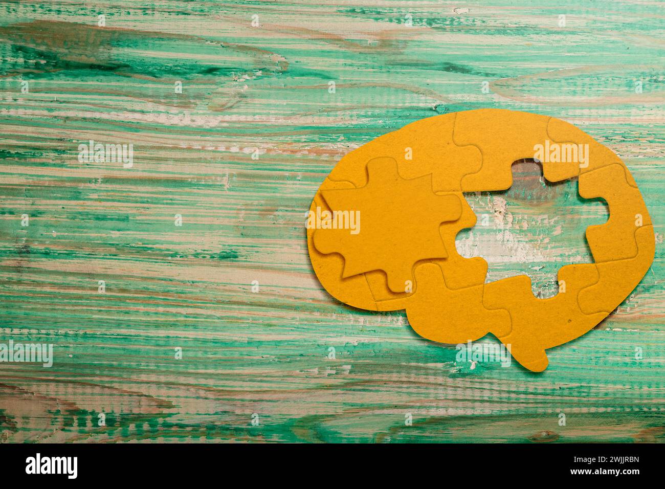 The missing piece of the brain puzzle is on the table. Mental health ...