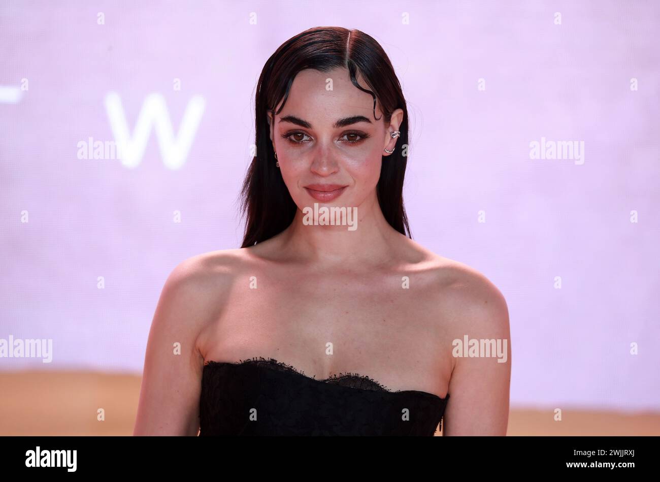 London, UK. 15th Feb, 2024. Souheila Yacoub attends the World Premiere ...