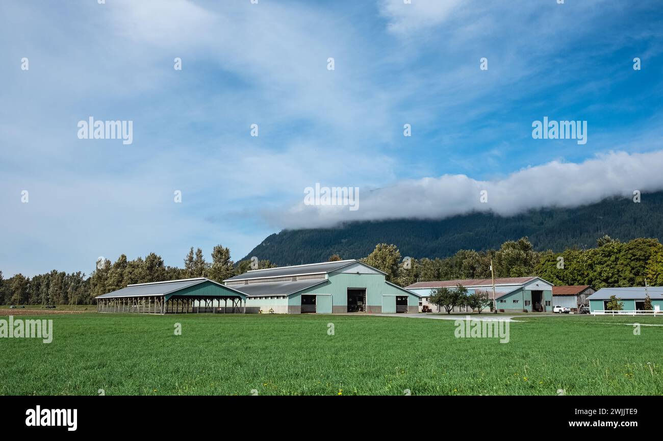Canadian Farmland With Blue Cloudy Sky. Countryside Farm in the morning ...