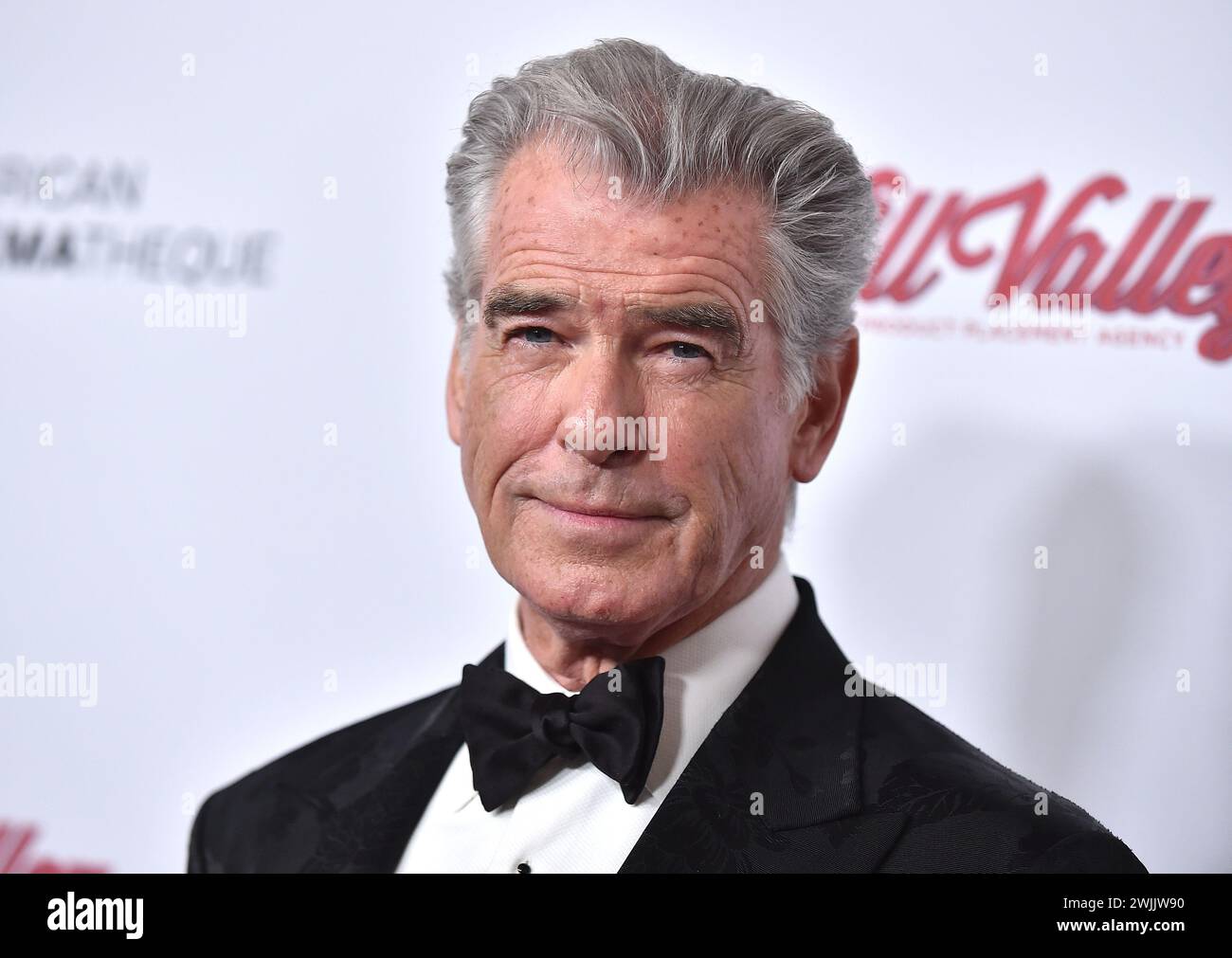 Pierce brosnan 2024 hi-res stock photography and images - Alamy