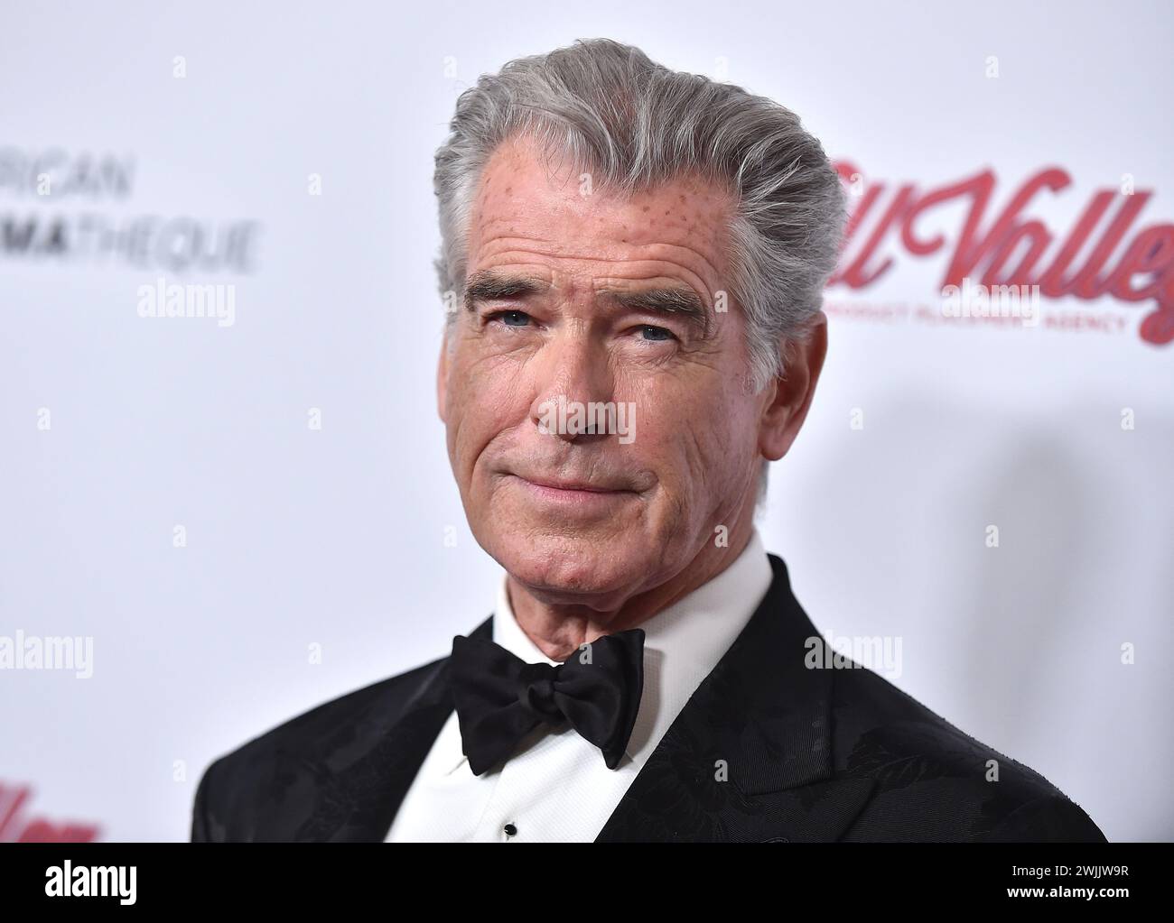 Pierce Brosnan 2024