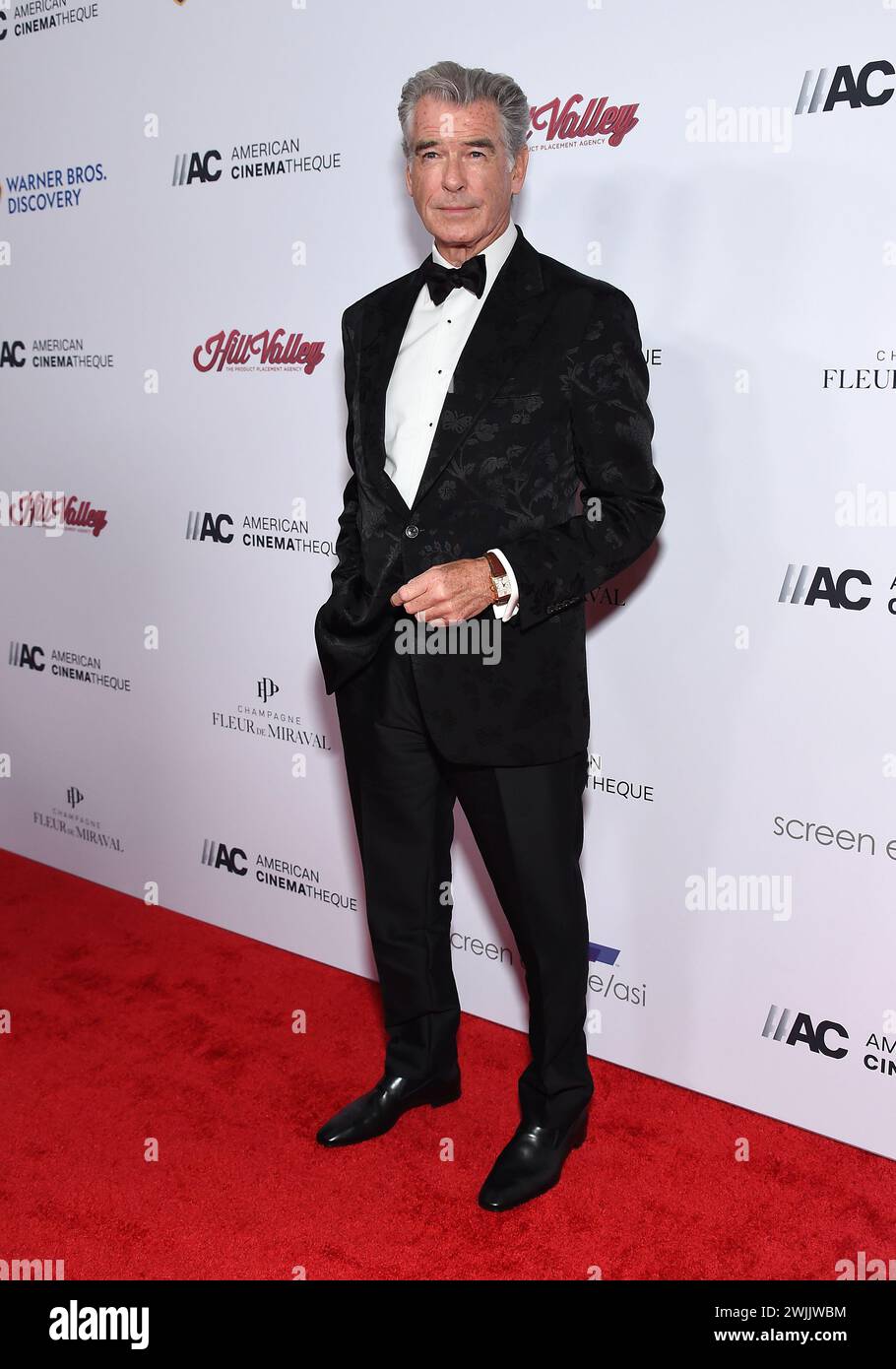 Pierce brosnan 2024 hi-res stock photography and images - Alamy