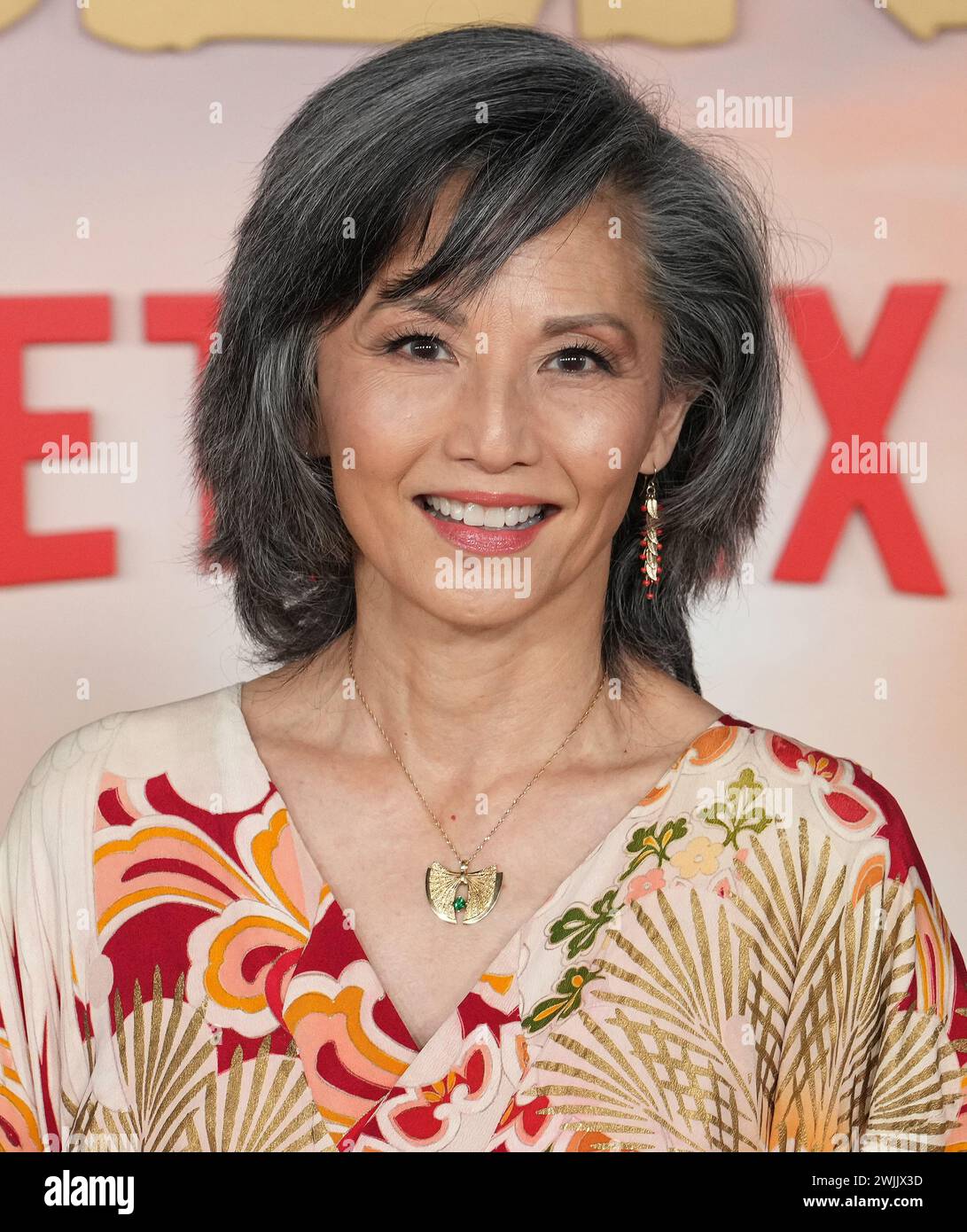 Los Angeles, USA. 15th Feb, 2024. Tamlyn Tomita arrives at the Netflix ...