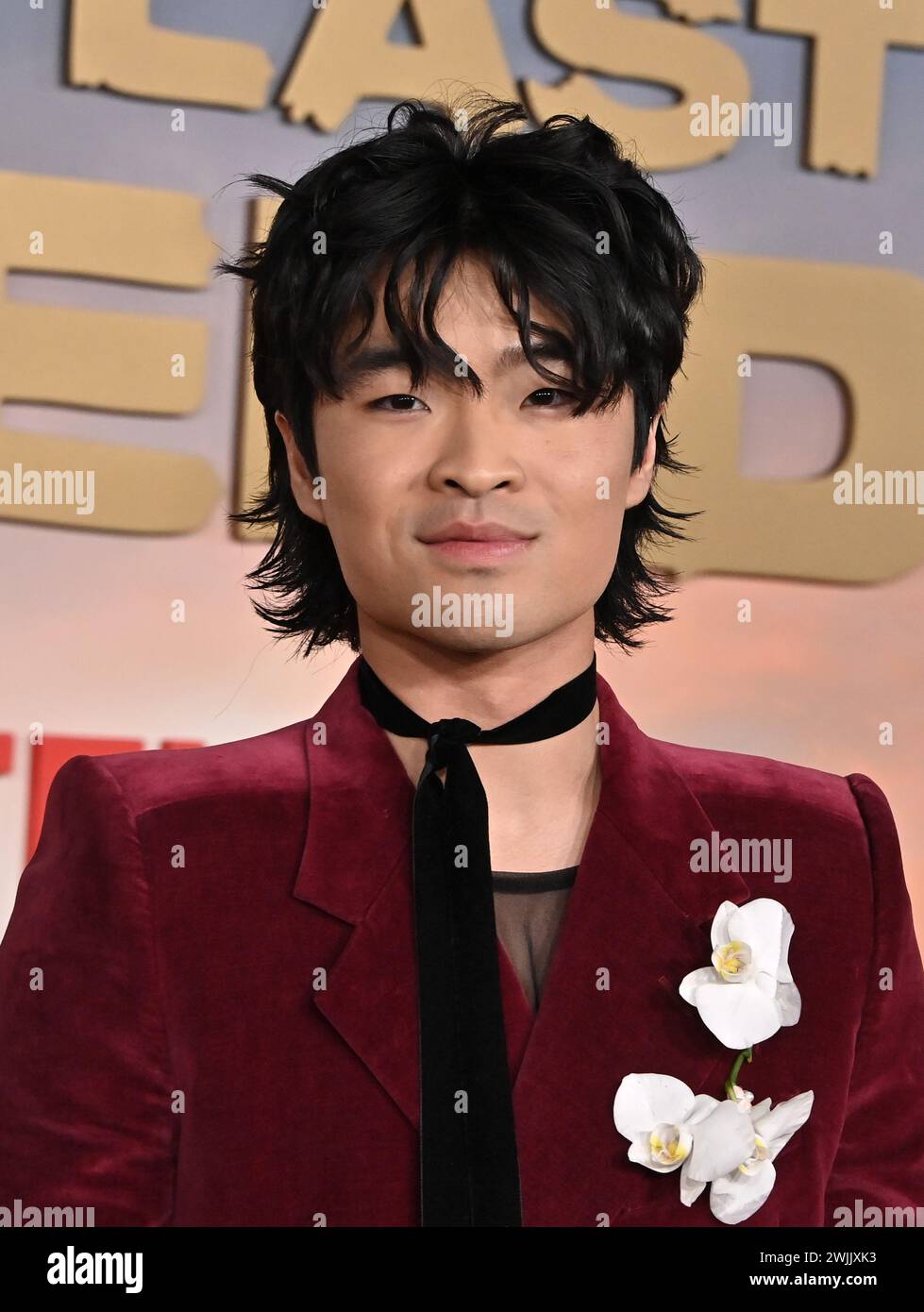 Hollywood, USA. 15th Feb, 2024. Dallas Liu arriving at Netflix's ...