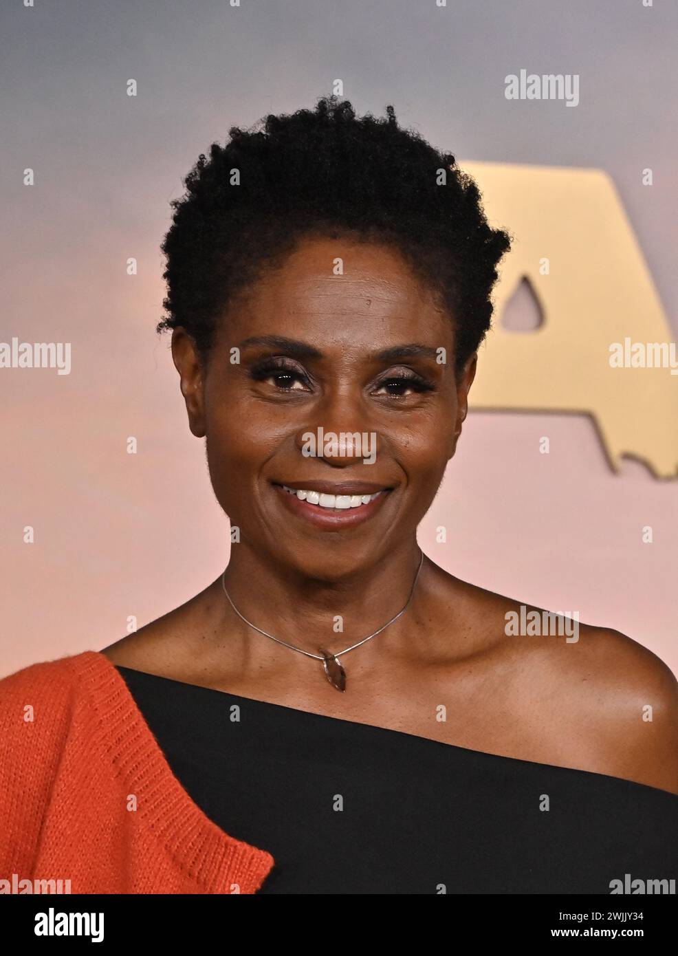 Hollywood, USA. 15th Feb, 2024. Adina Porter arriving at Netflix's ...