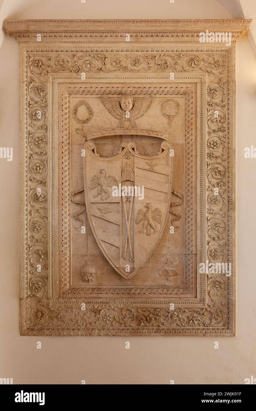 Knights shield hi-res stock photography and images - Alamy