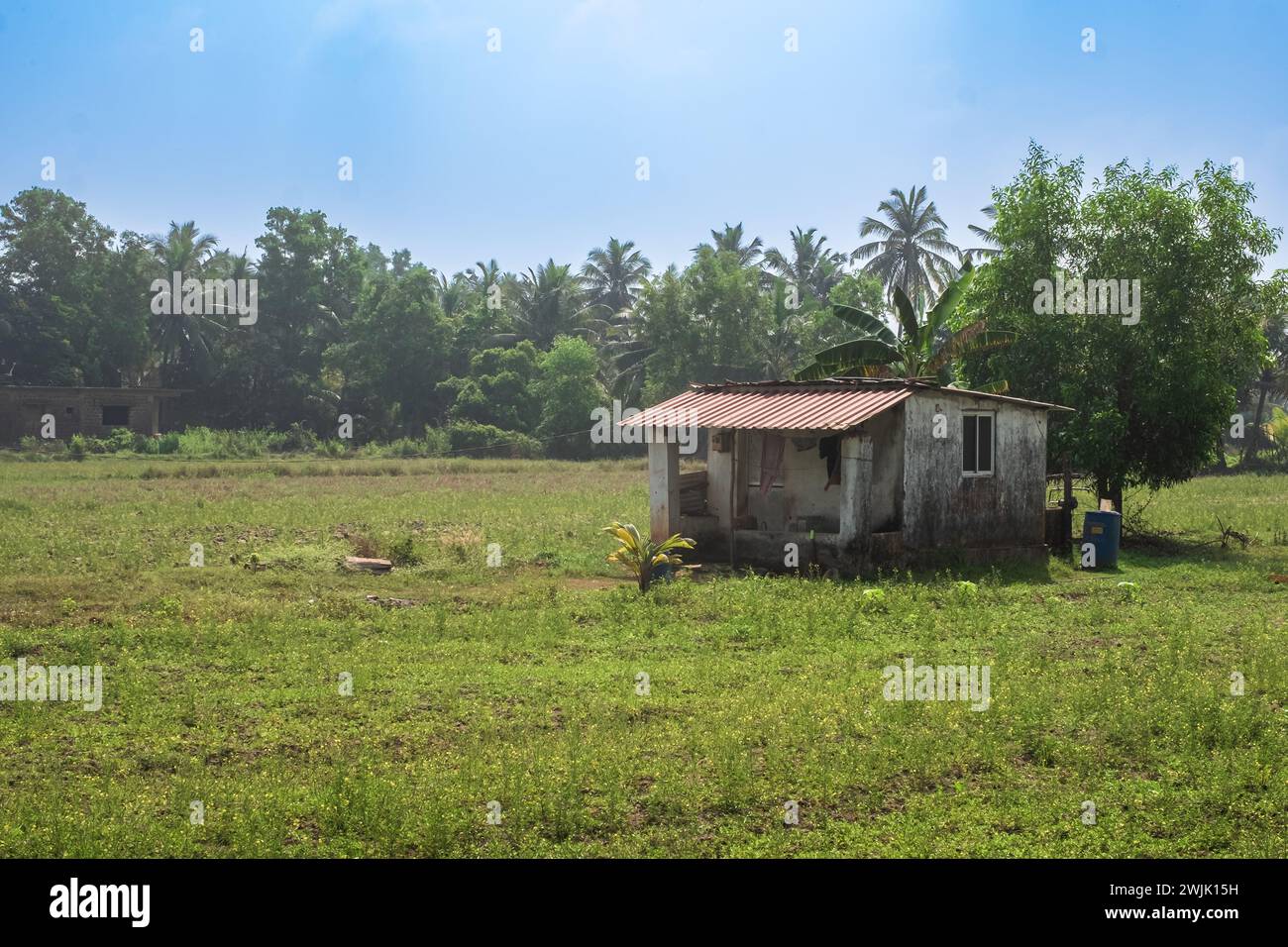 Traditional Indian village house surrounded by green grass and ...