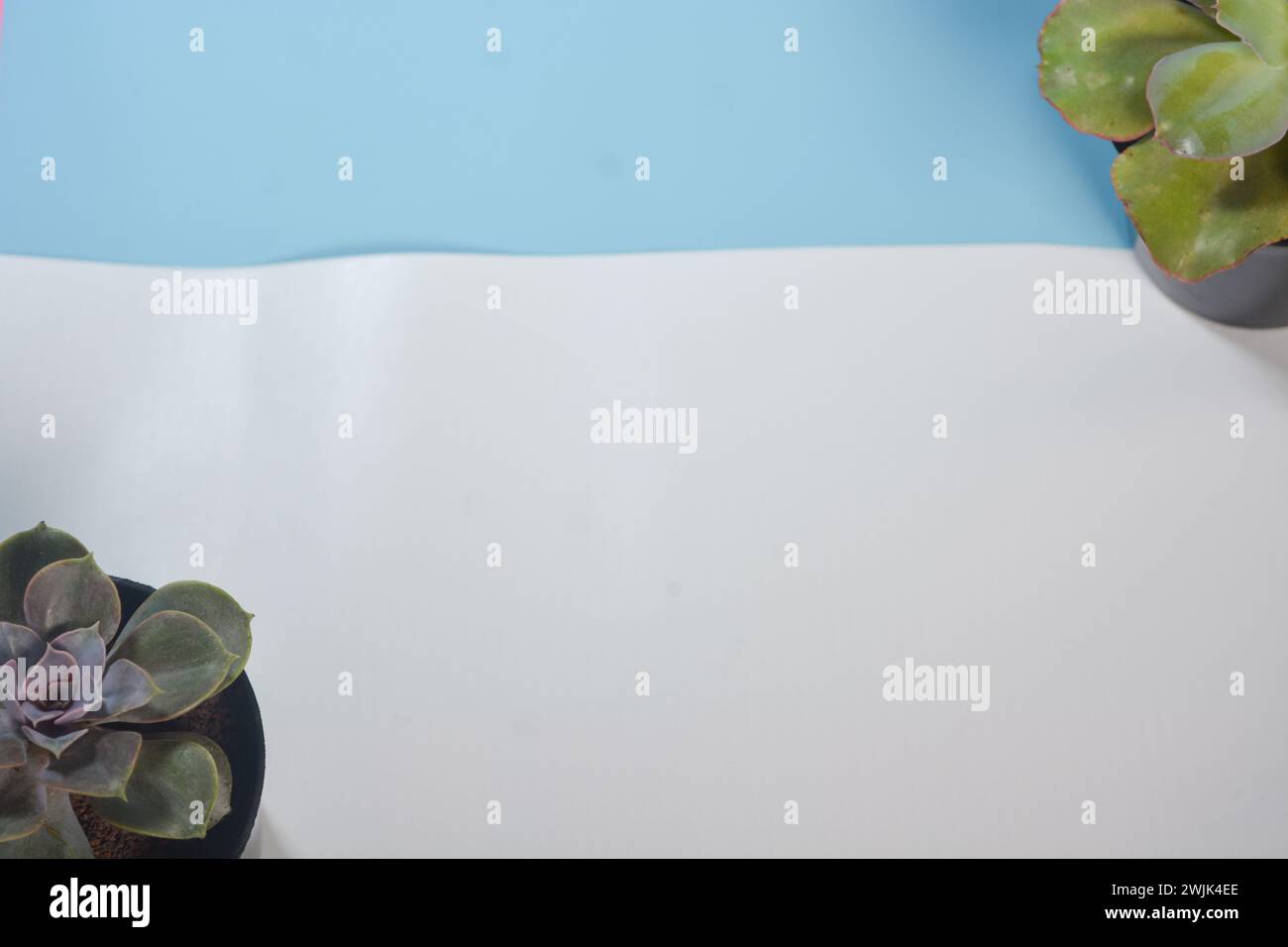 Name card frames, greeting cards are suitable for templates Stock Photo ...