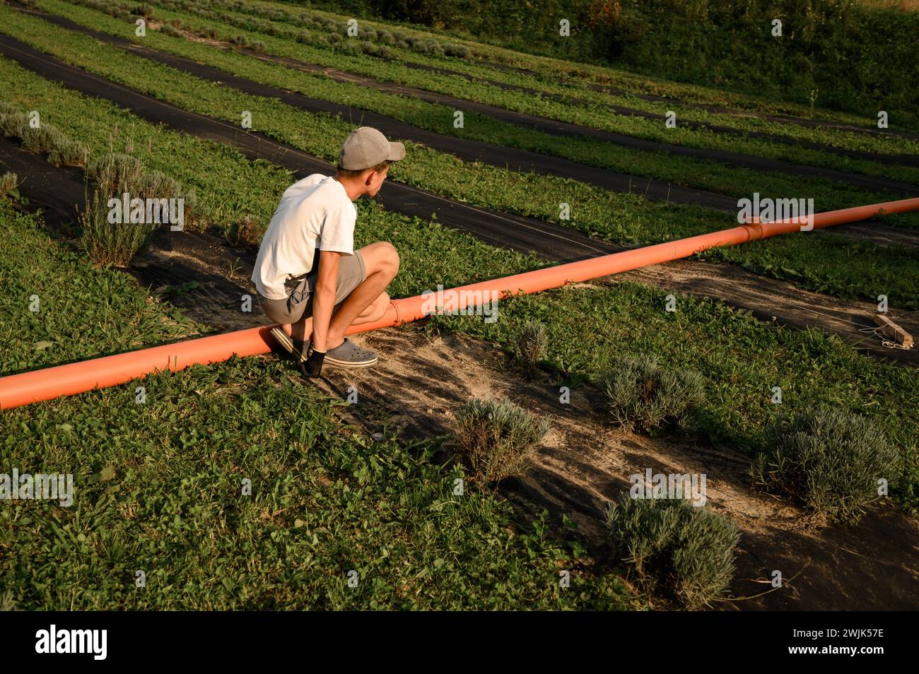 A plumber installs a reinforced orange sewer pipe during site ...