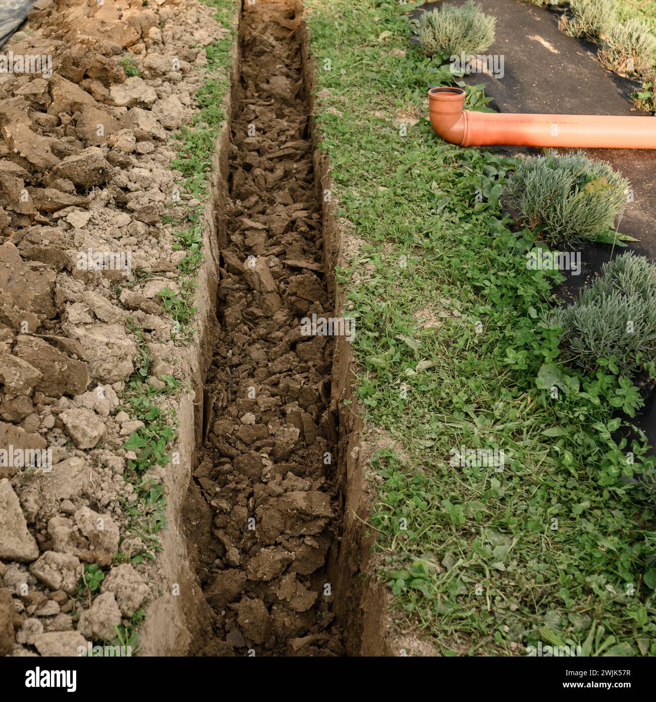 A hand dug trench in a field of flowers to drain groundwater Stock ...