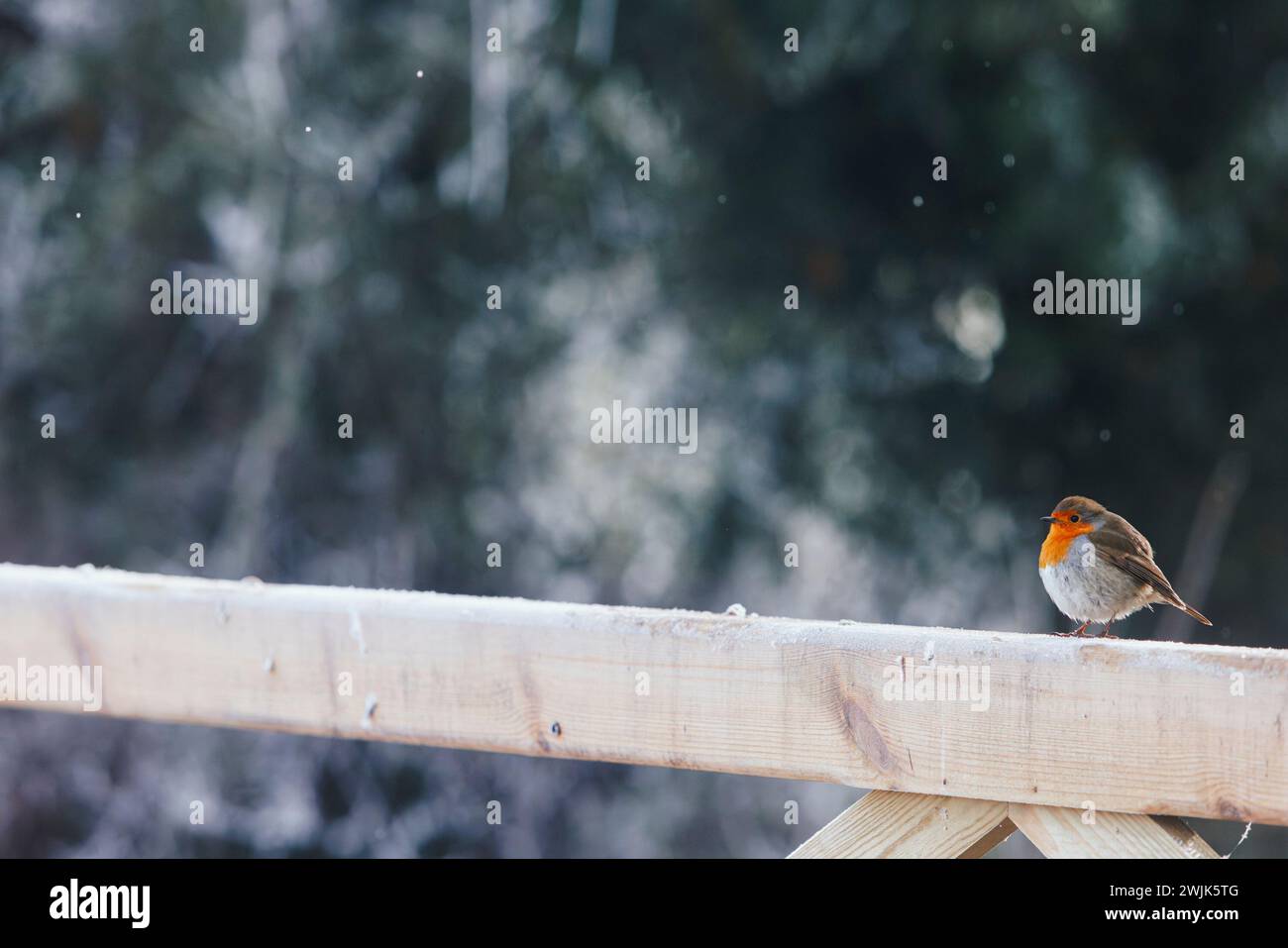 Gault hi-res stock photography and images - Alamy