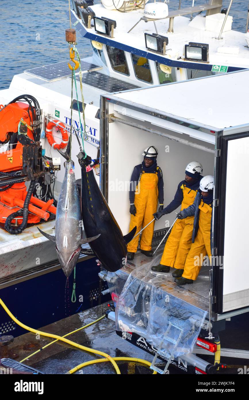 Fishing snorkelling hi-res stock photography and images - Alamy