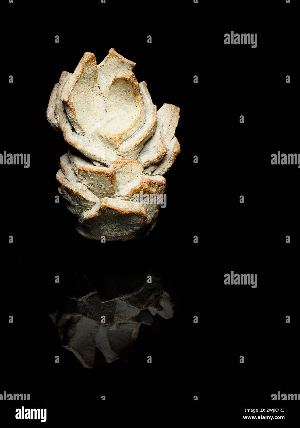 Creation art hi-res stock photography and images - Alamy
