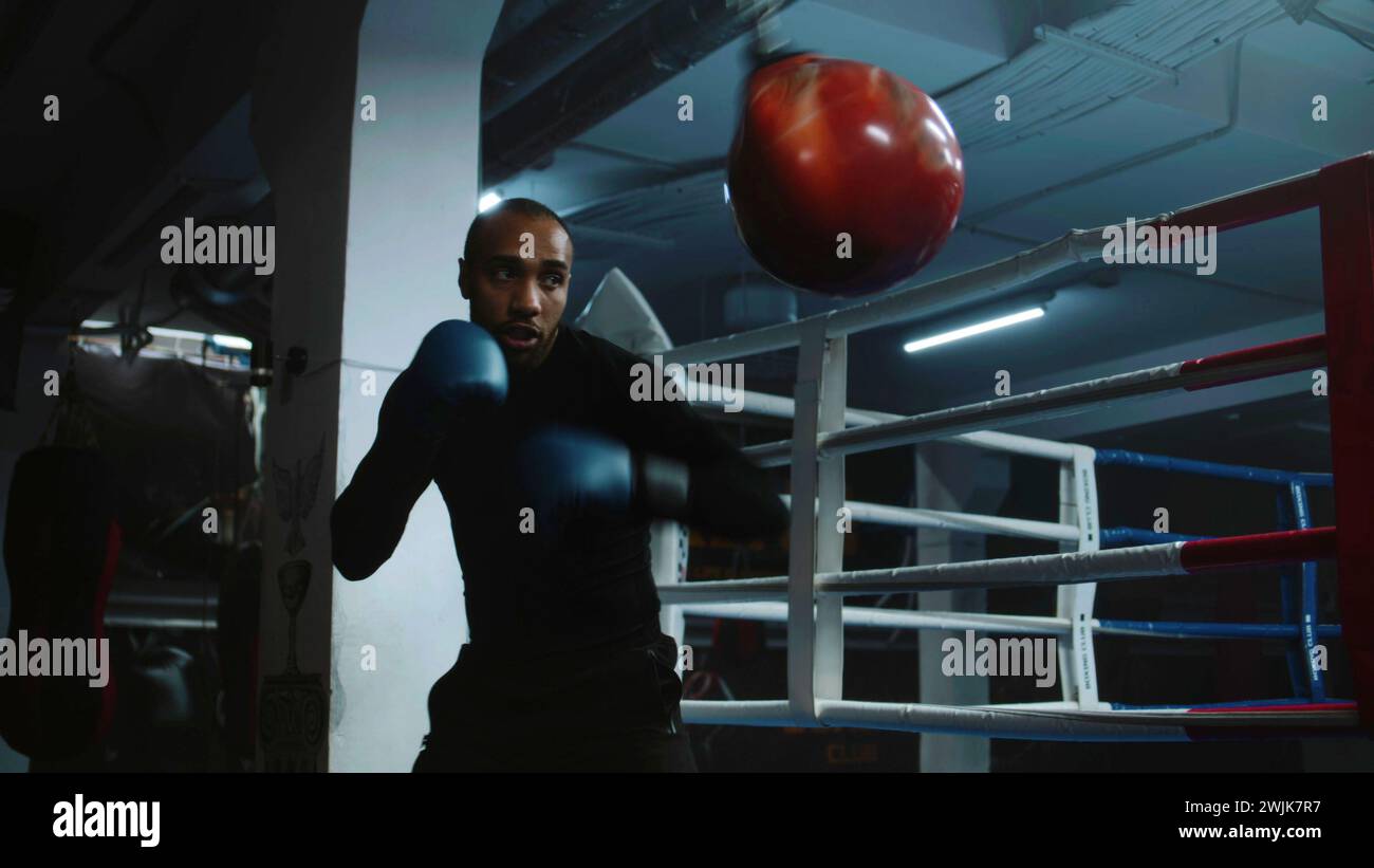 Confident African American fighter hits punching bag while training in ...