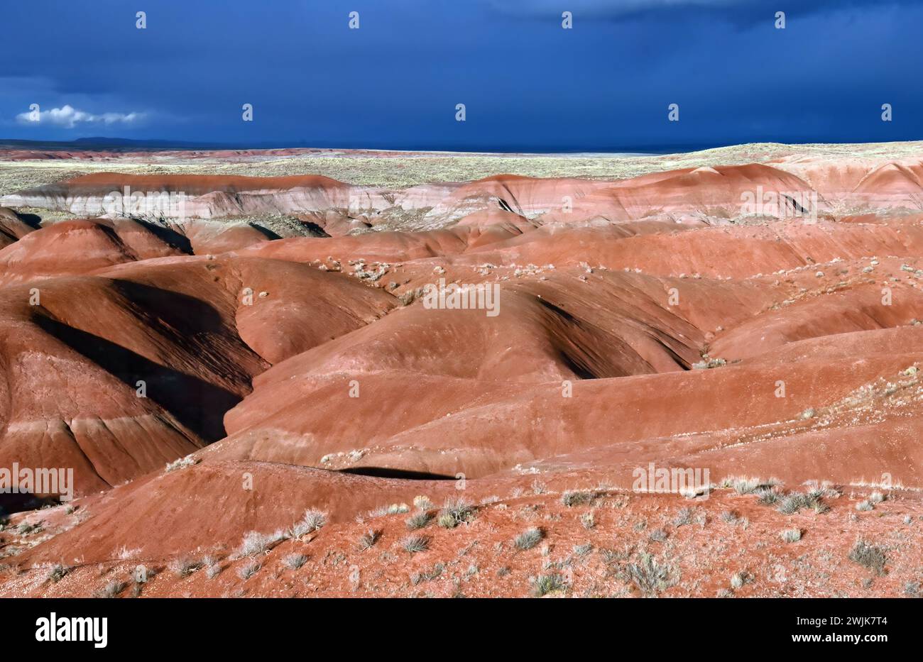 looking out at the colorful badlands of the painted desert national ...