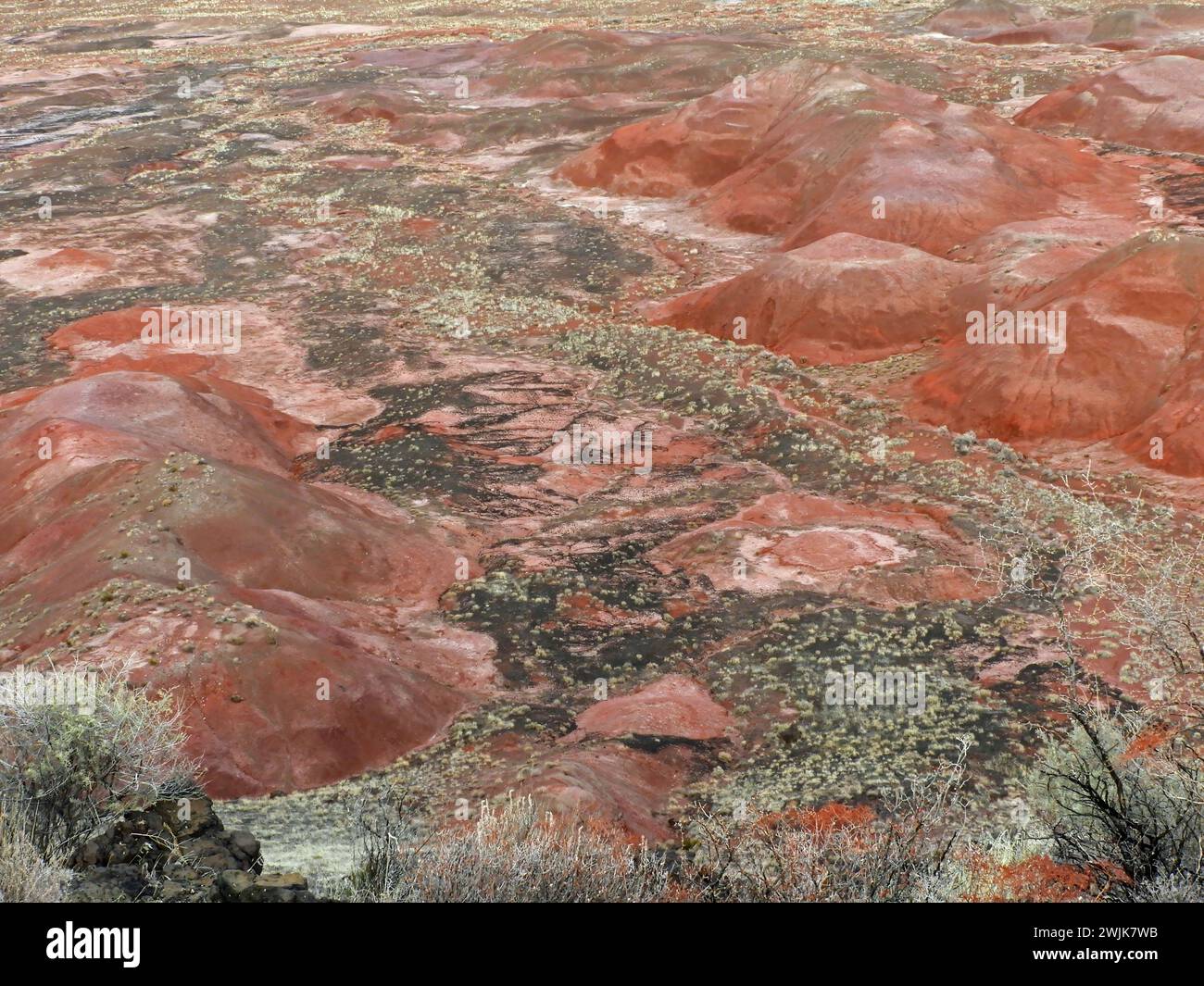 looking out at the colorful badlands of the painted desert national ...