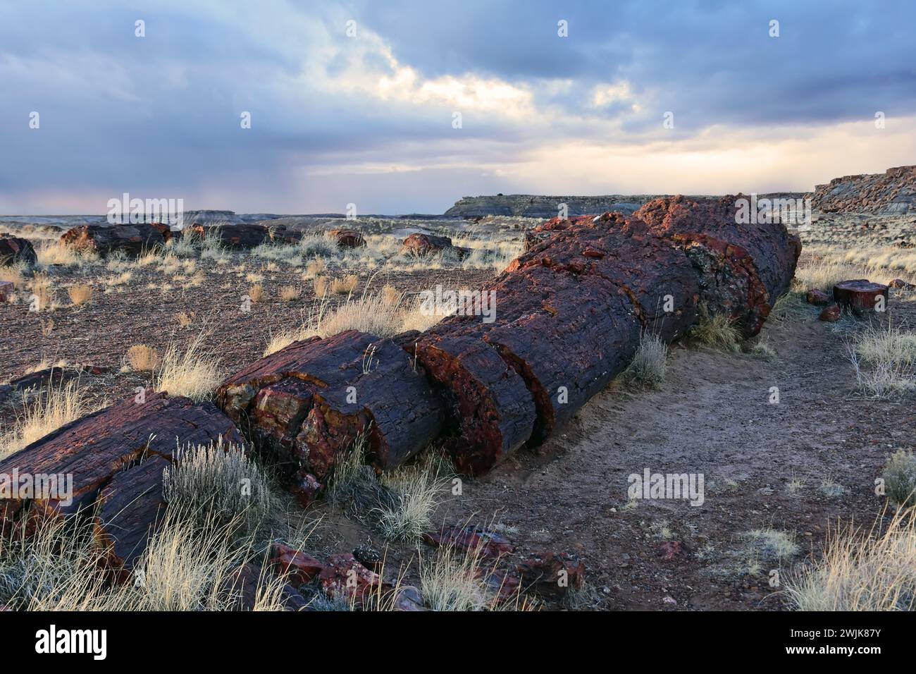 Sedimentary log hi-res stock photography and images - Alamy