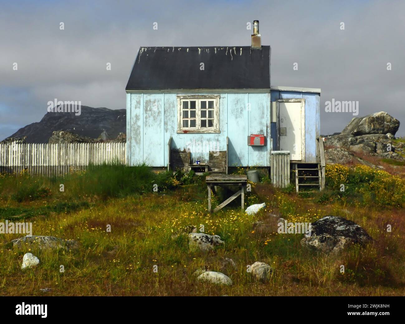 colorful blue house, yellow arctic poppies, and granite boulders in the ...