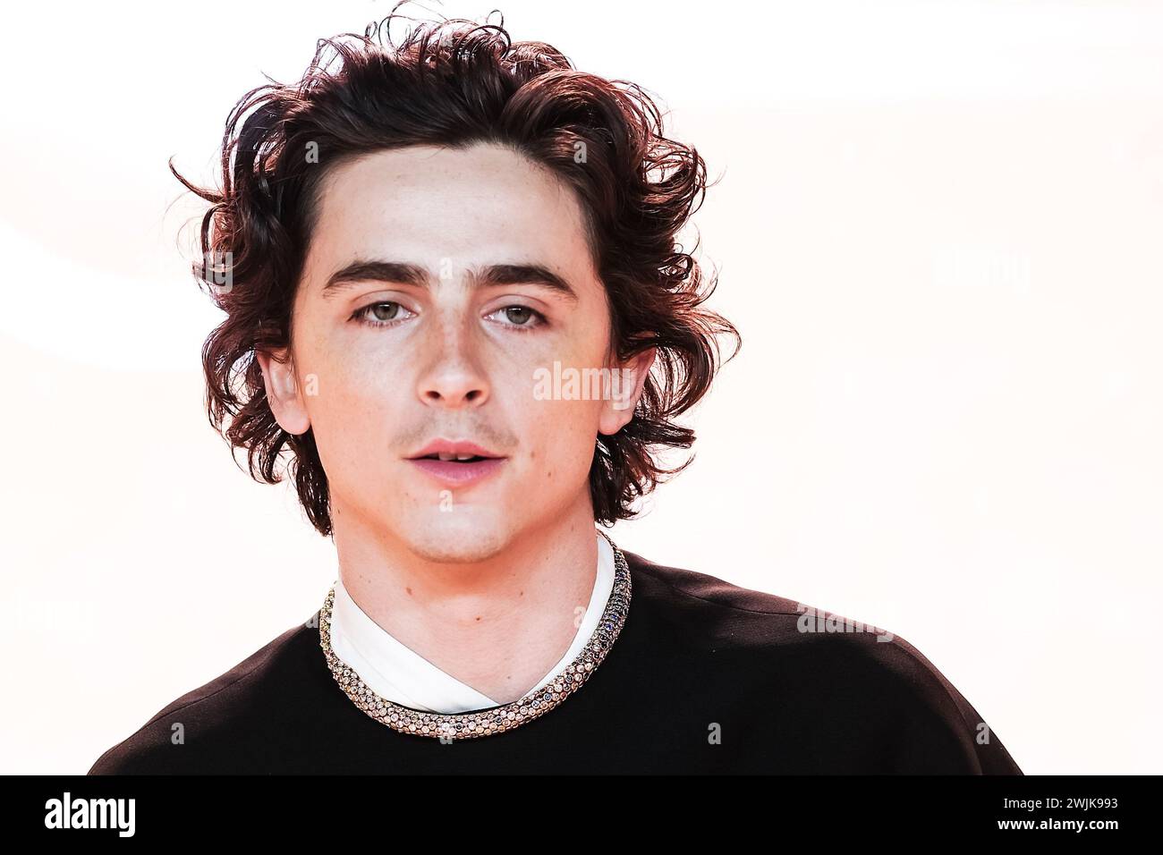 Leicester Square, London, UK. 15th Feb, 2024. Timothée Chalamet ...