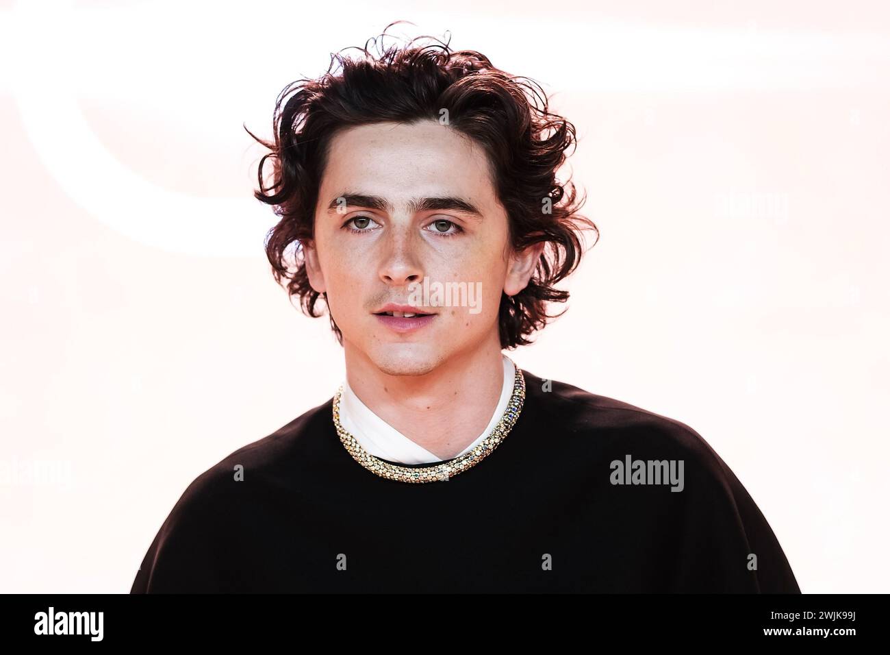 Leicester Square, London, UK. 15th Feb, 2024. Timothée Chalamet ...