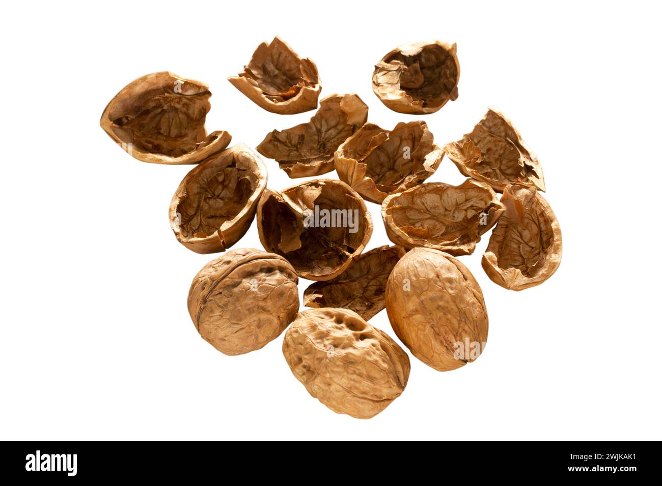 Open empty nutshell hi-res stock photography and images - Alamy