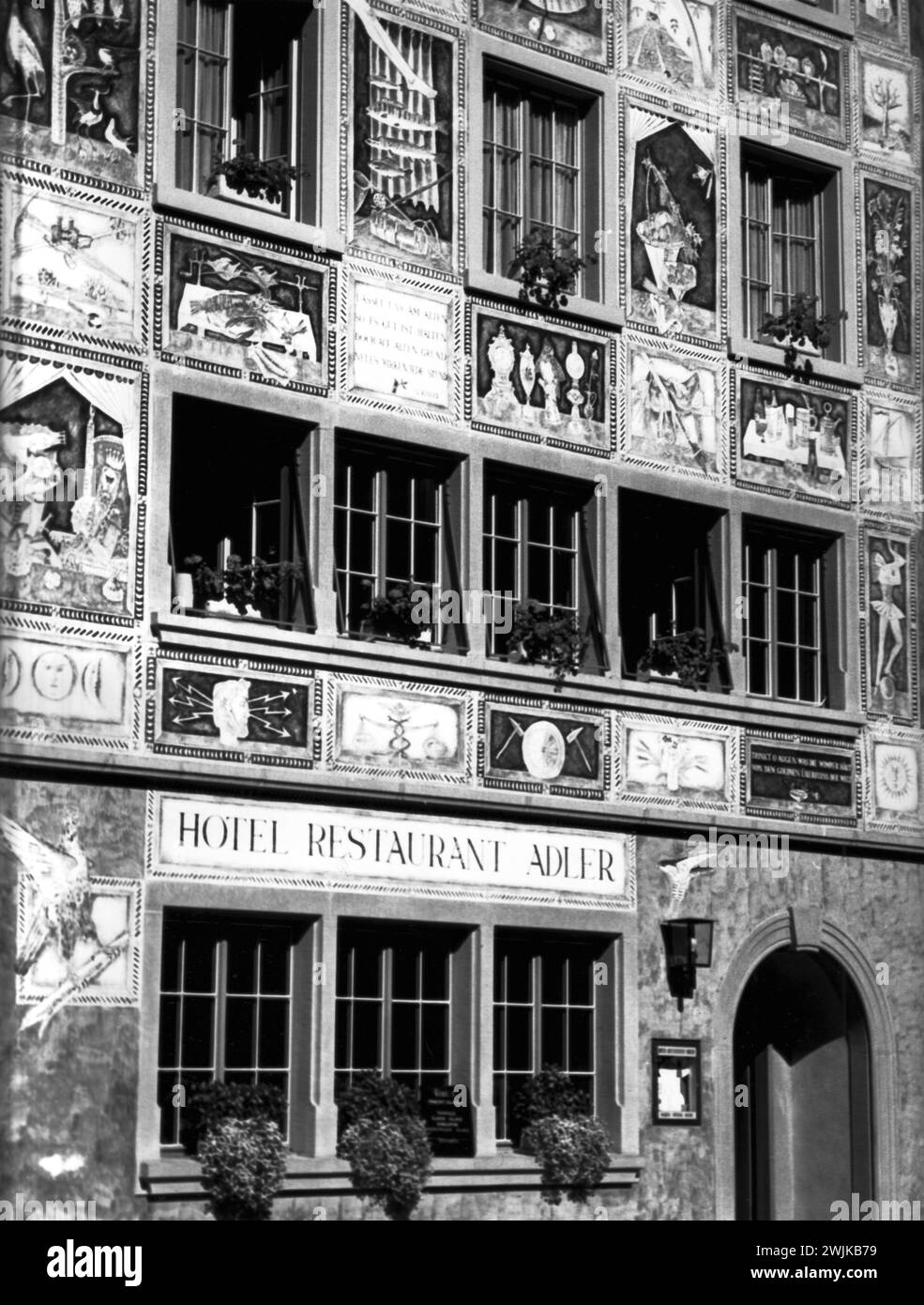 Stein adler hi-res stock photography and images - Alamy