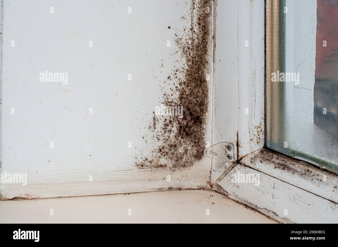 Winter issue: wall freezing, condensation, and black mold on plastic ...