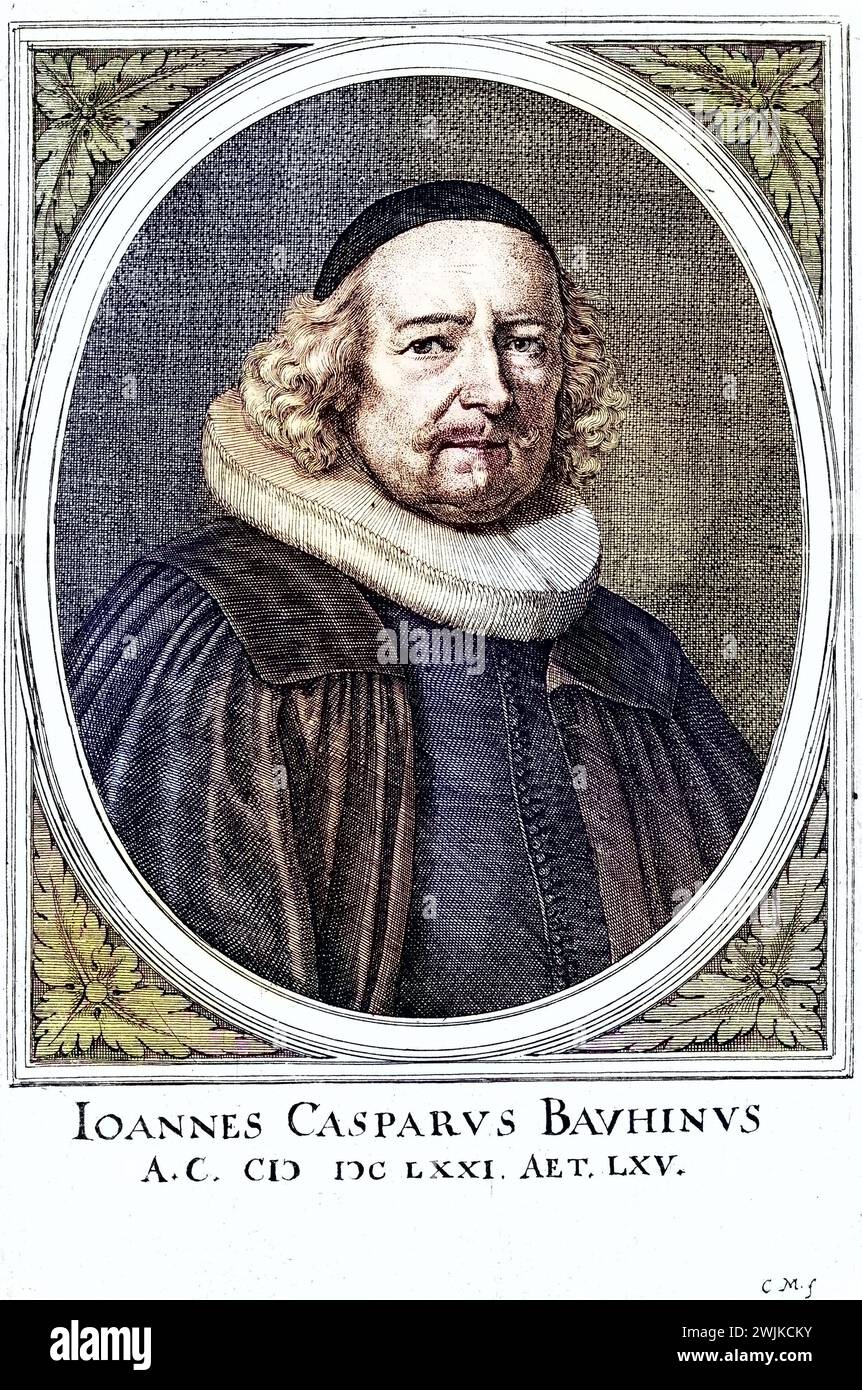 Johann Caspar Bauhin (geb. 12. März 1606 in Basel; gest. 14. Juli 1685 ...