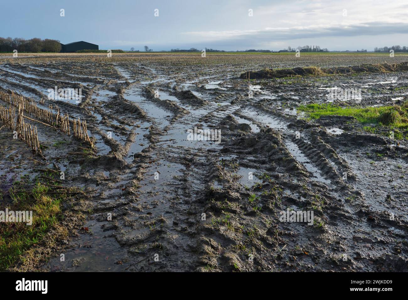 A flooded agricultural field due to heavy rainfall in winter in The ...