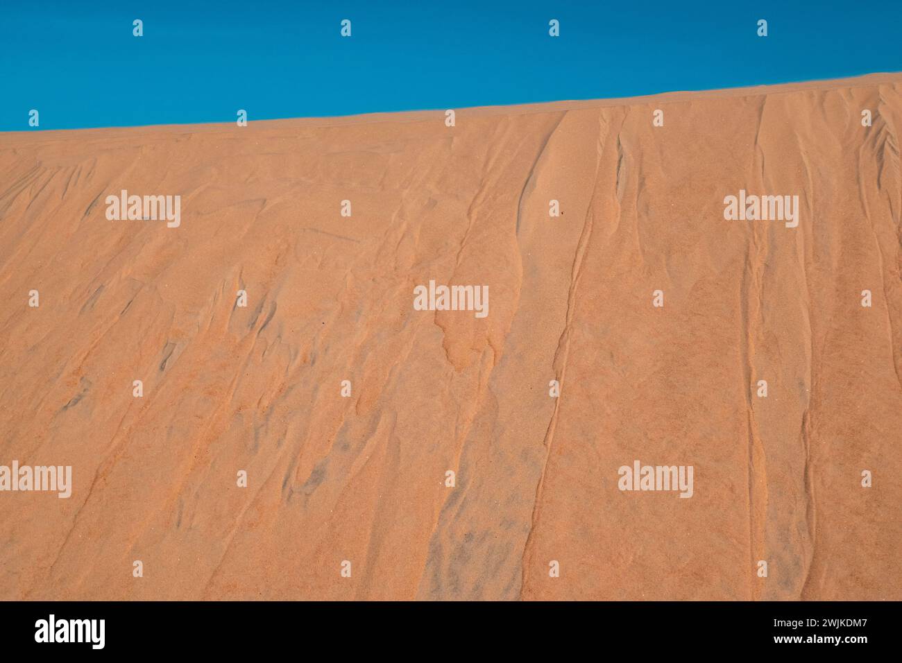 Scenic view of Mambrui Sand dunes in Mambrui Beach in Malindi, Kenya ...