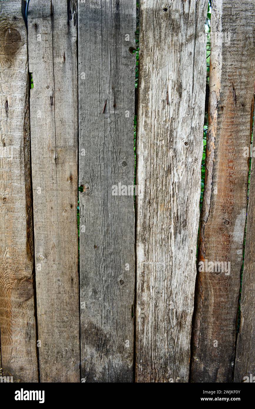 Beautiful wooden planks texture. Old Rustic Wooden Planks Stock Photo ...
