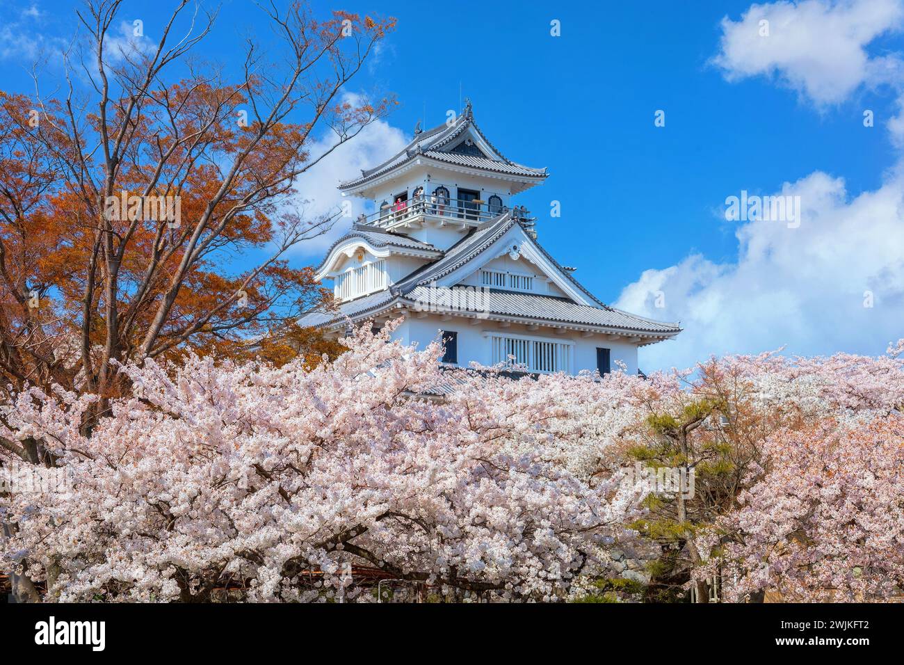 Shiga, Japan - April 3 2023: Nagahama Castle built by feudal lord ...