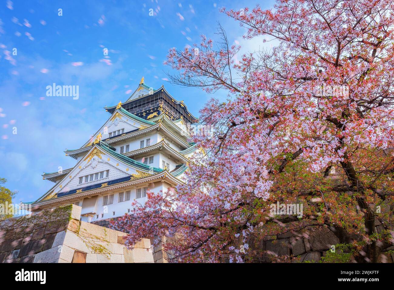 Osaka, Japan - April 4 2023: Osaka Castle dates back to 1583, it's one ...