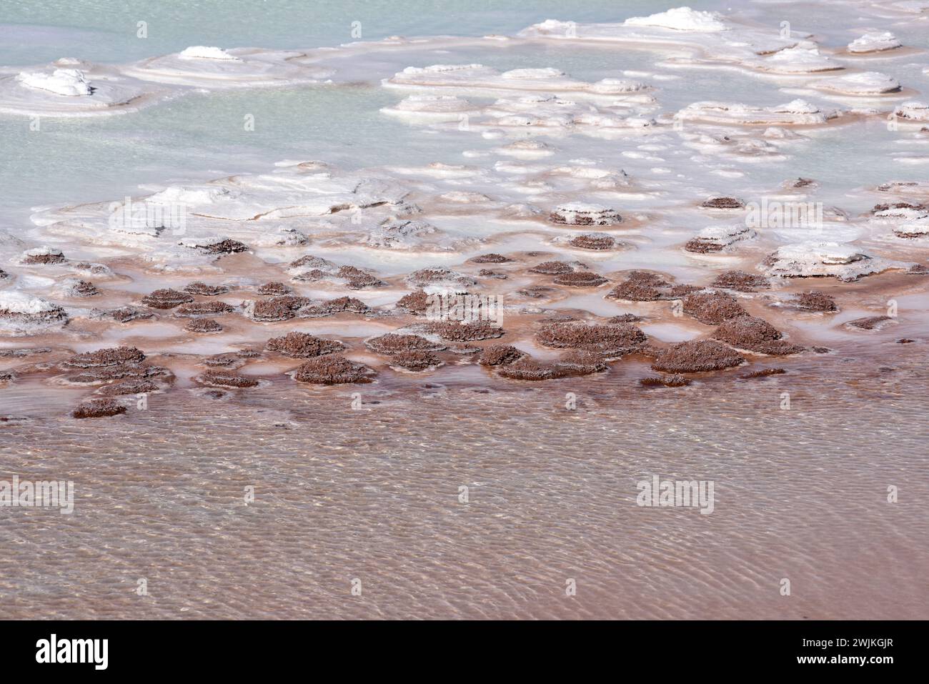 Hypersaline environment hi-res stock photography and images - Alamy