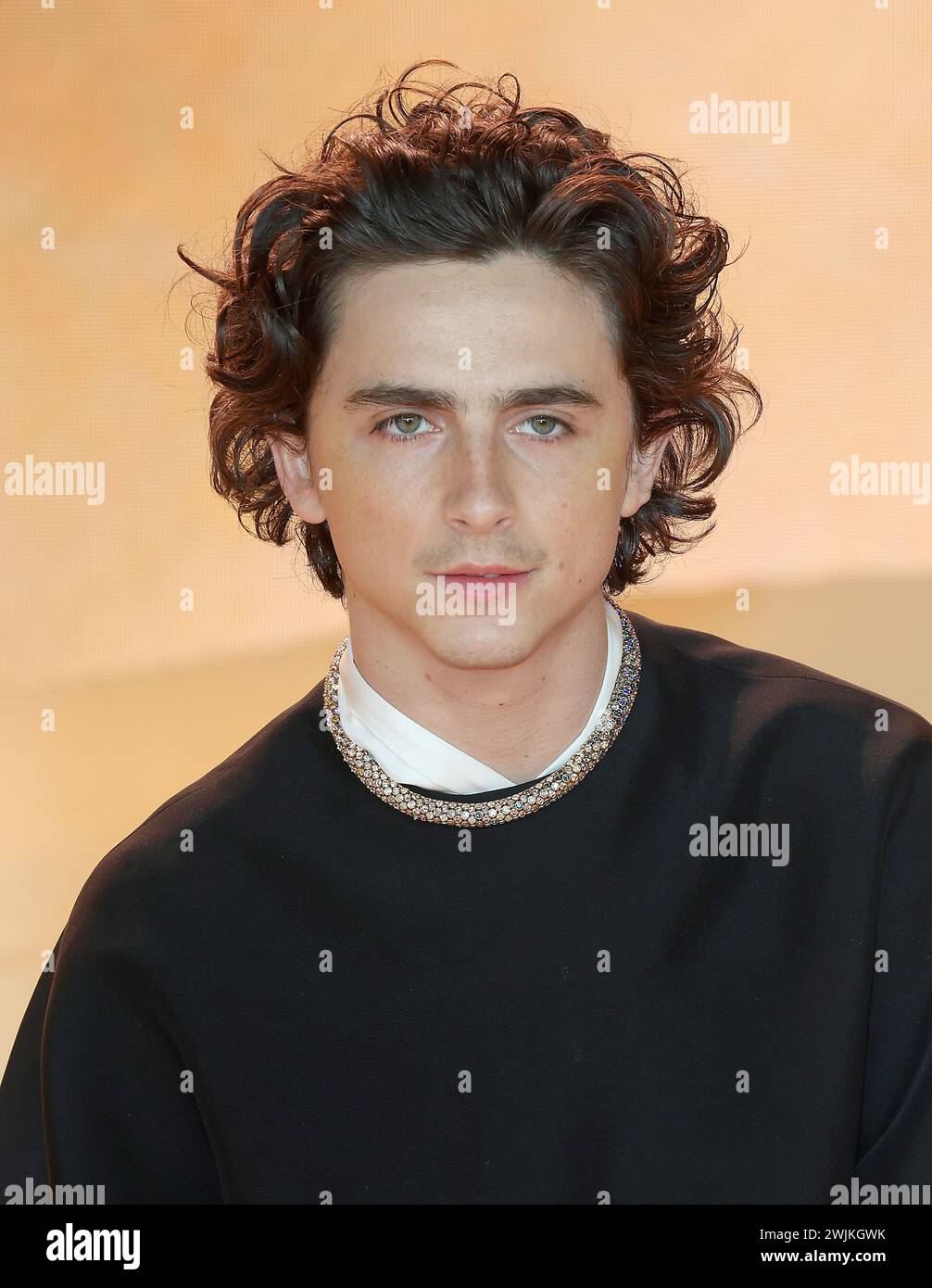 Feb 15, 2024 - London, England, UK - Timoth ee Chalamet attends the ...