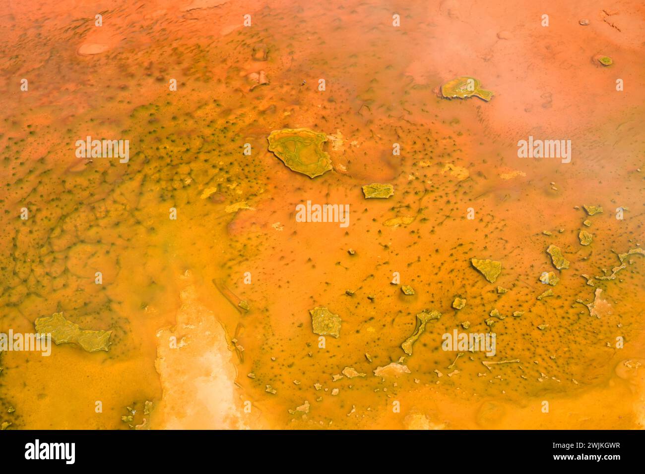 Extremophile archaea and cyanobacteria on a hydrothermal water in Tatio ...